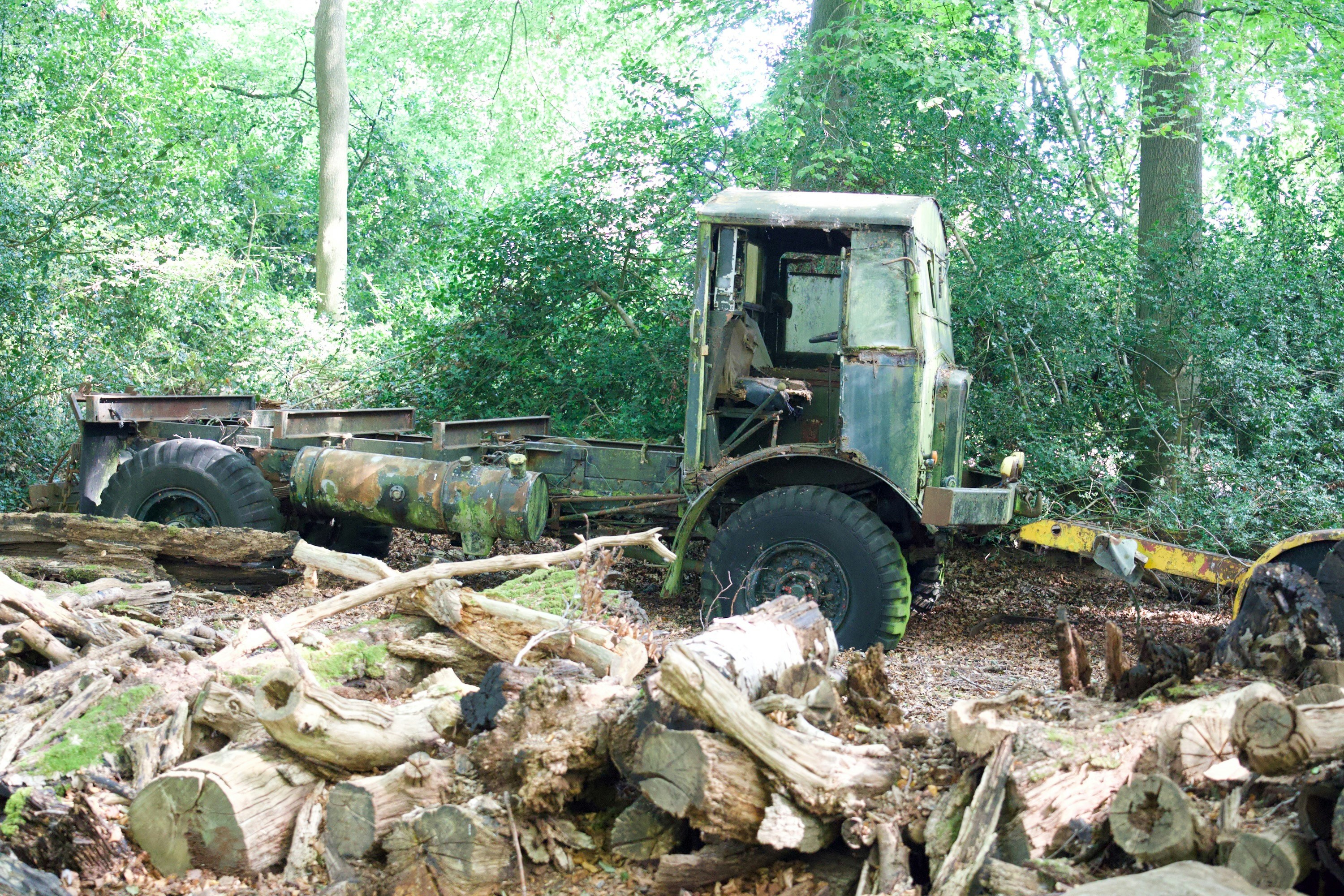 Rusting Tractor Amid Stacked Logs in a Quiet Woodline