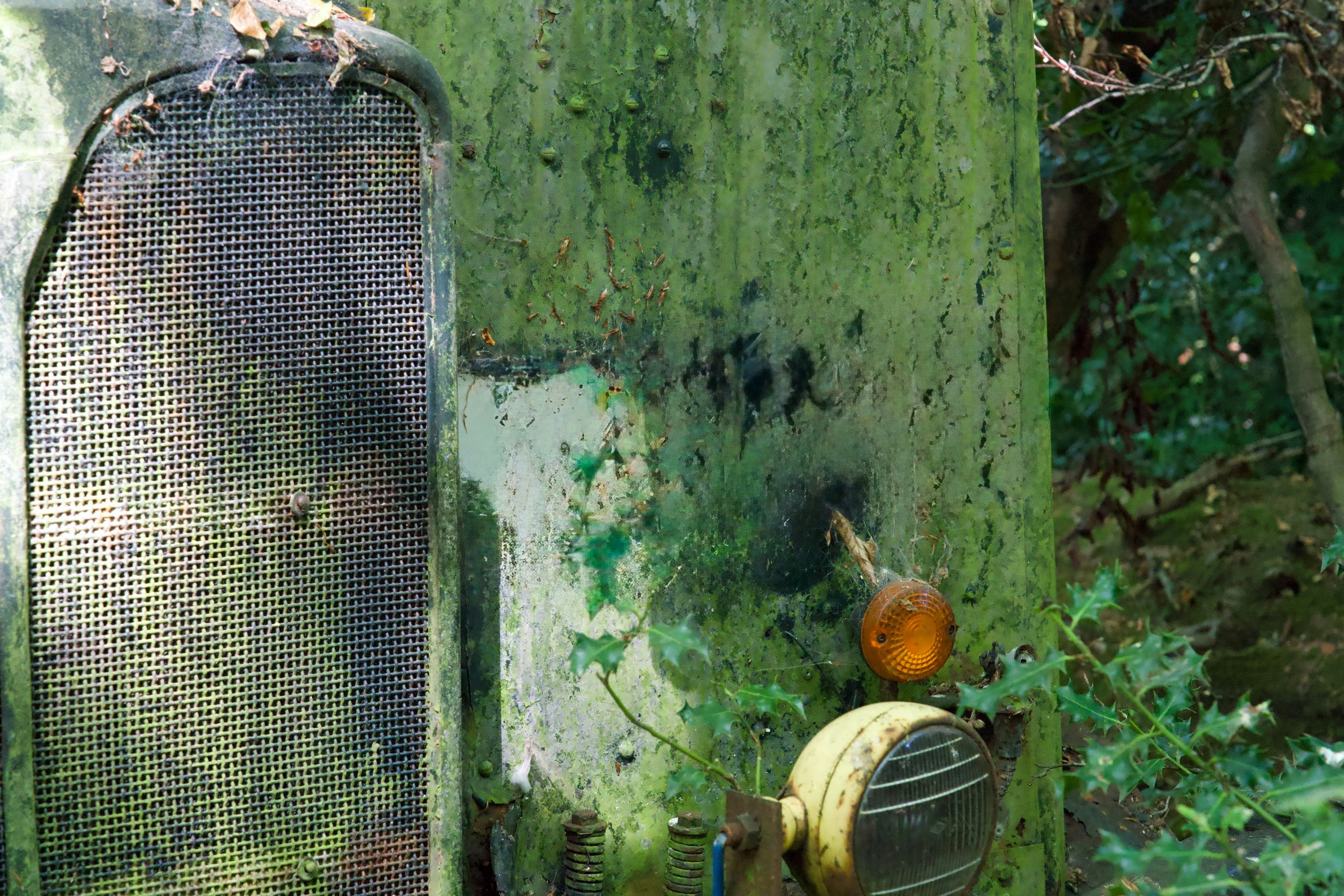 Overgrown Relic: An Old Tractor Reclaims the Forest