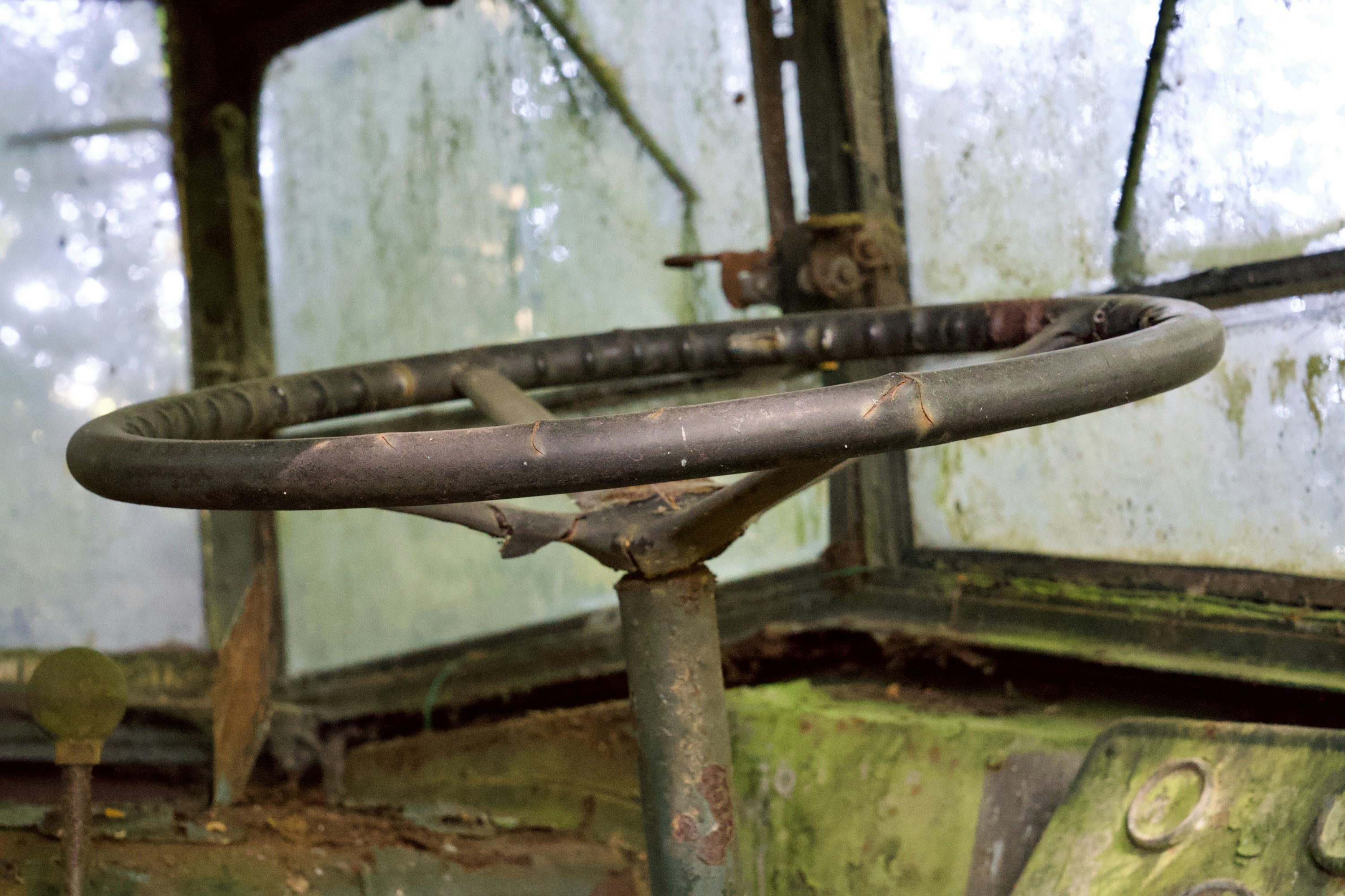 Rot iron steering wheel lost to the greenhouse of time