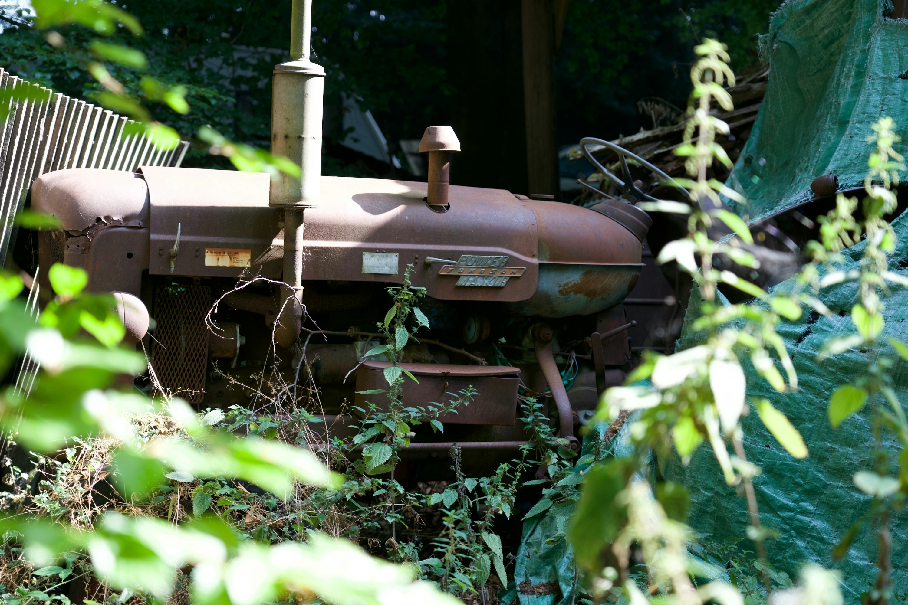 Overgrown Relic: a rusted tractor peeks through tangled greenery