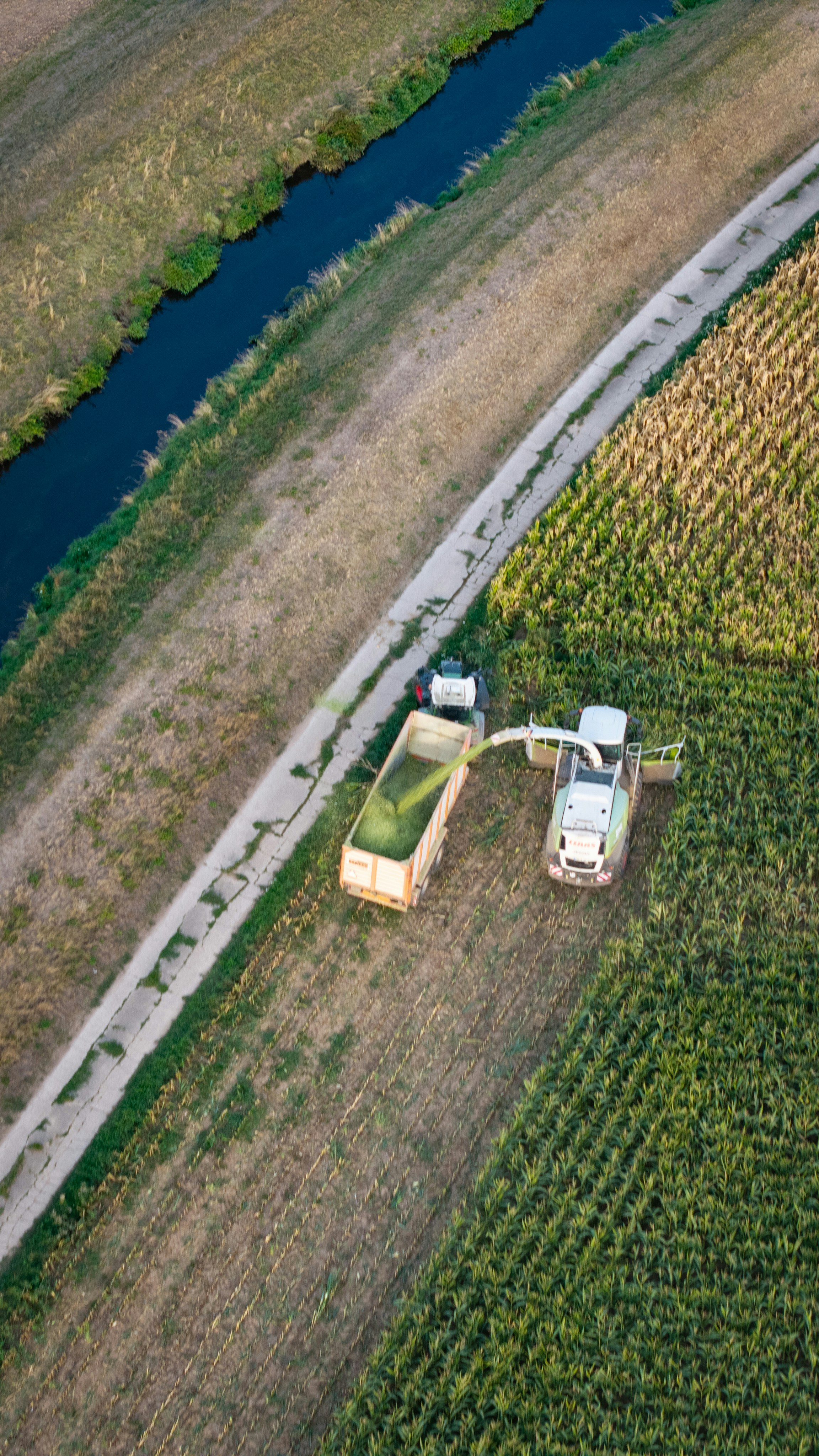 Harvest Teamwork Across a Quiet Canal Field