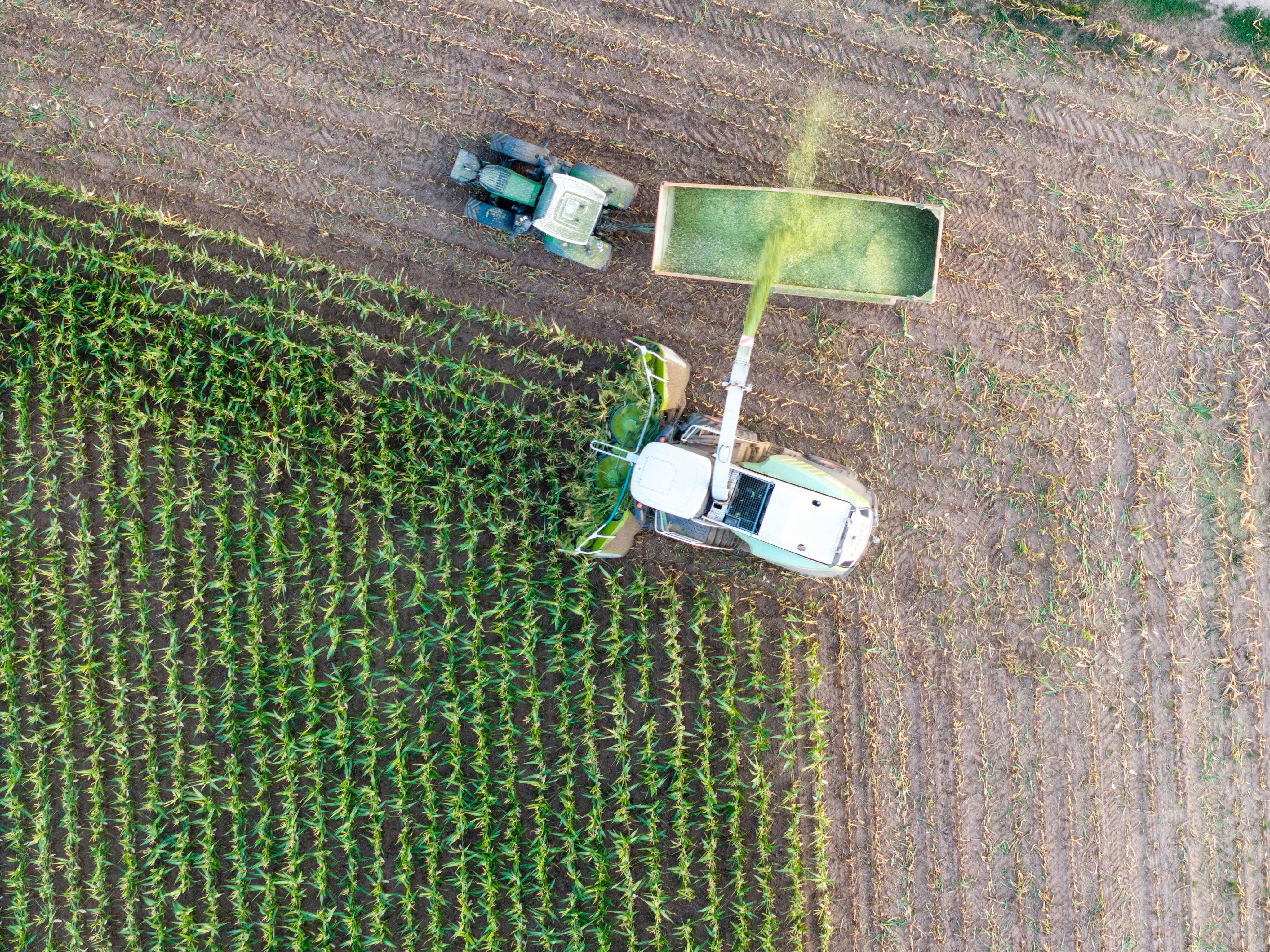 Harvesting Rows: Aerial View of a Tractor Overhead at Dusk