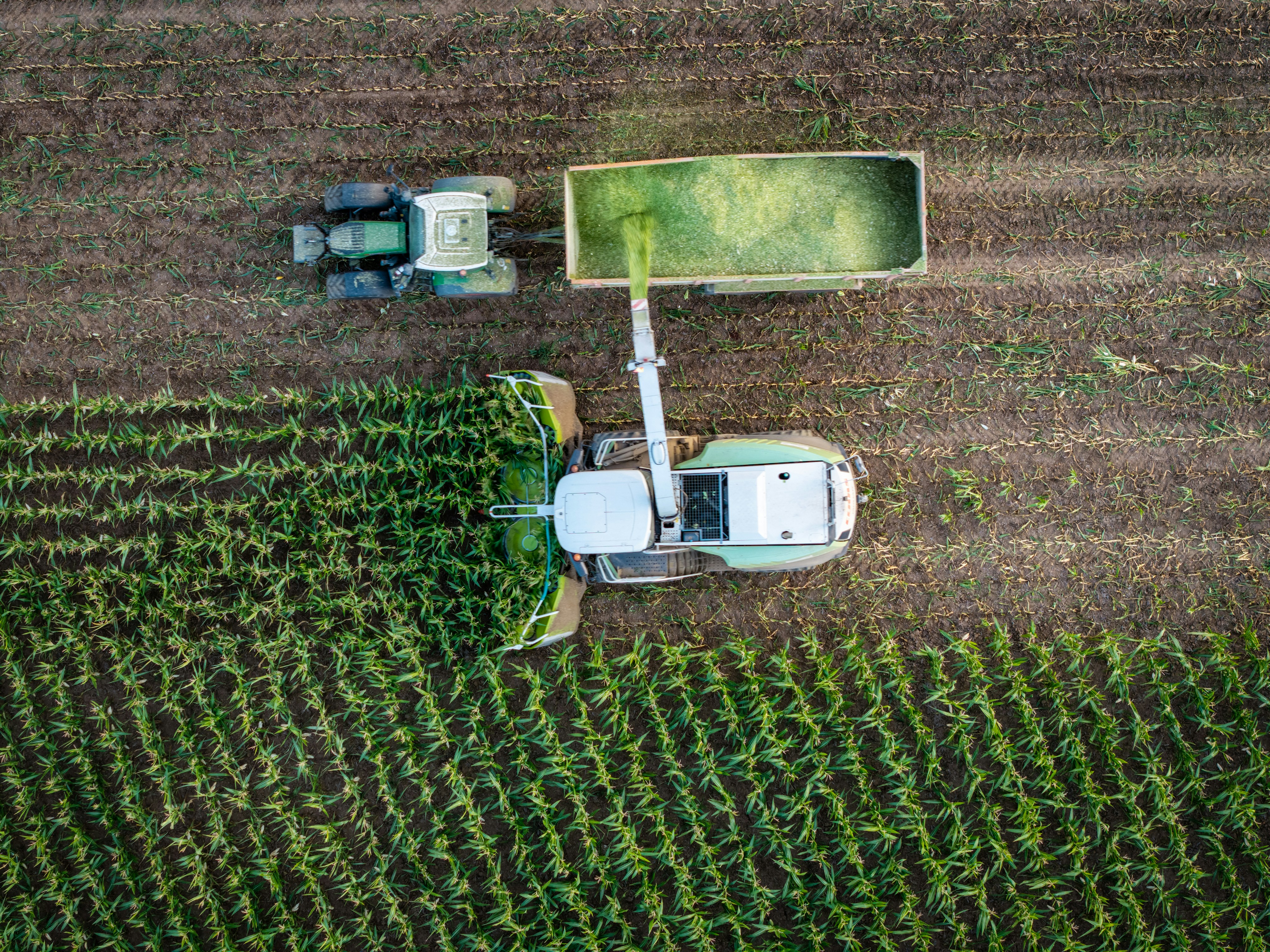 Harvest Drone: Overhead View of a Tractor and Harvester in a Field