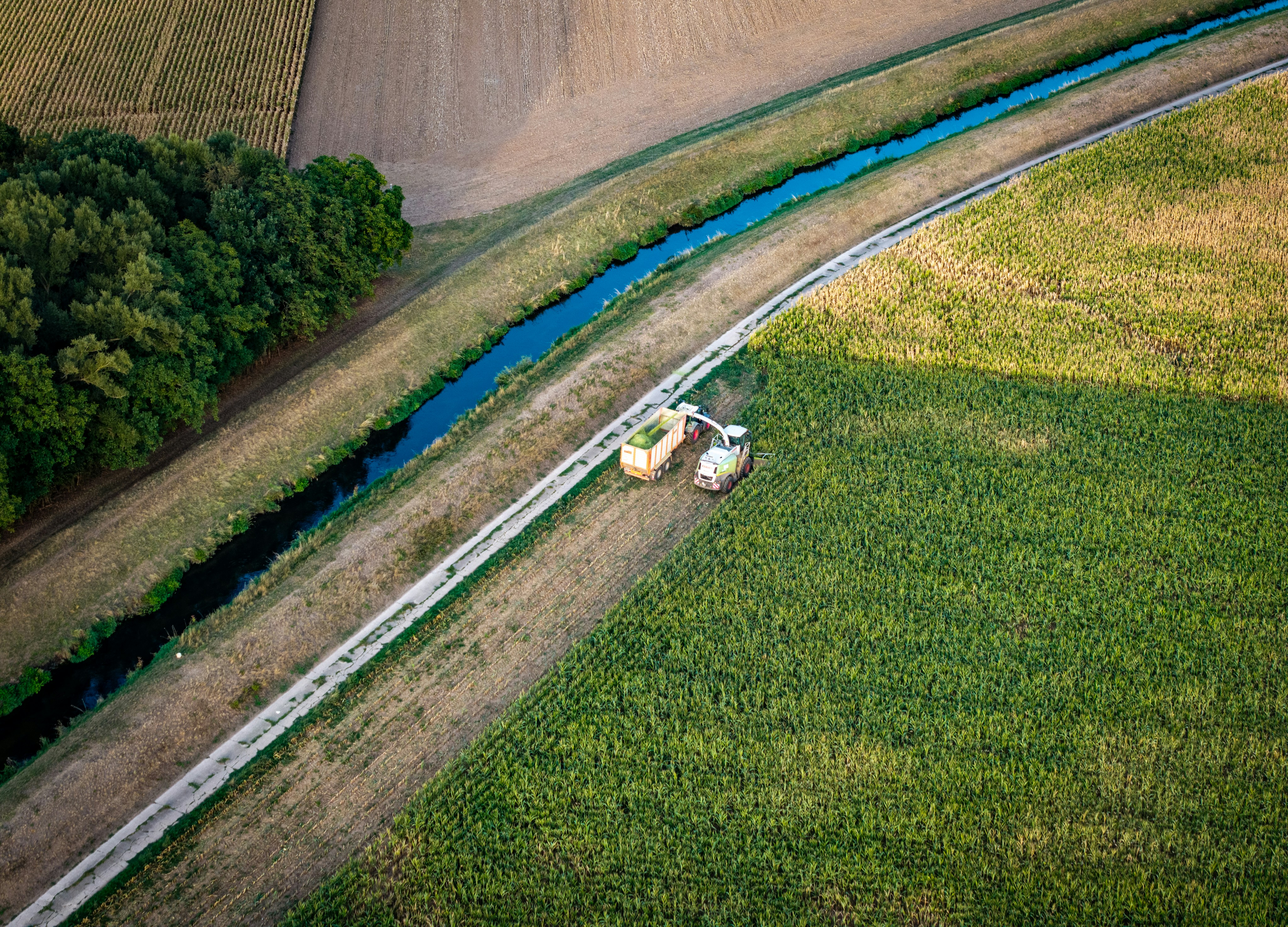 Harvest Road Through the River Green