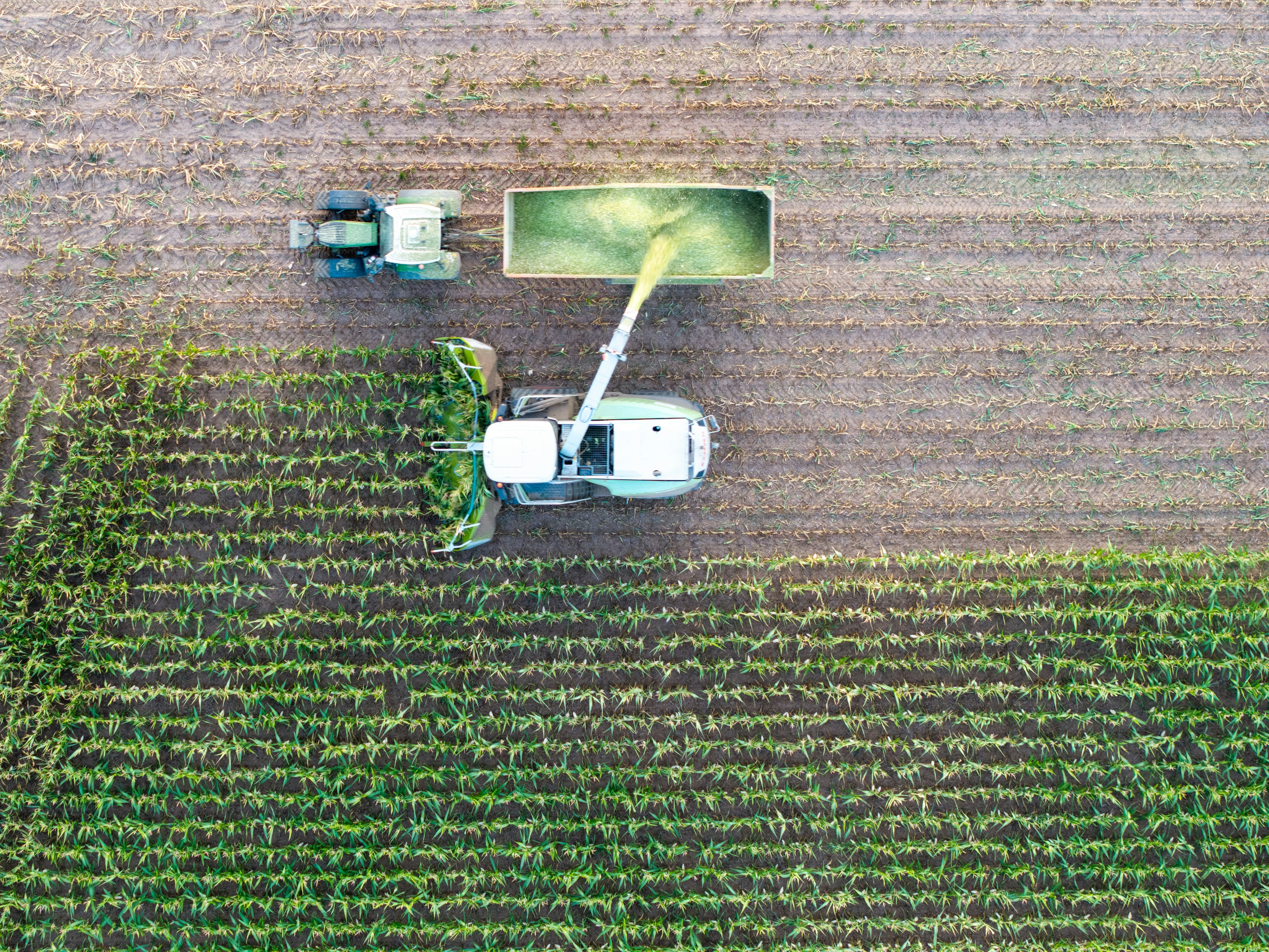 Harvest Relay: Aerial View of Pair of Machines Over a Field