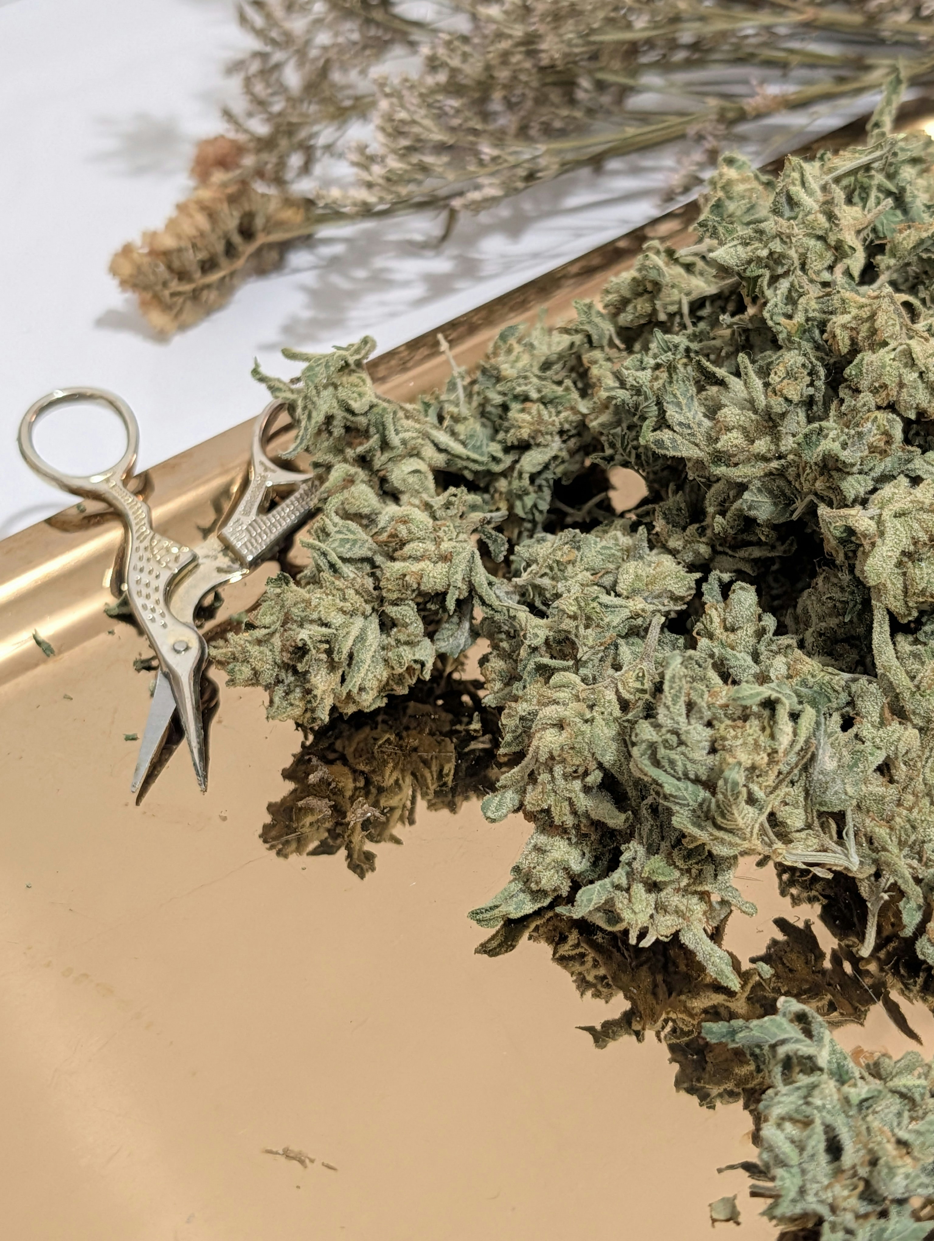 Golden Tray with Crimped Scissors and Buds