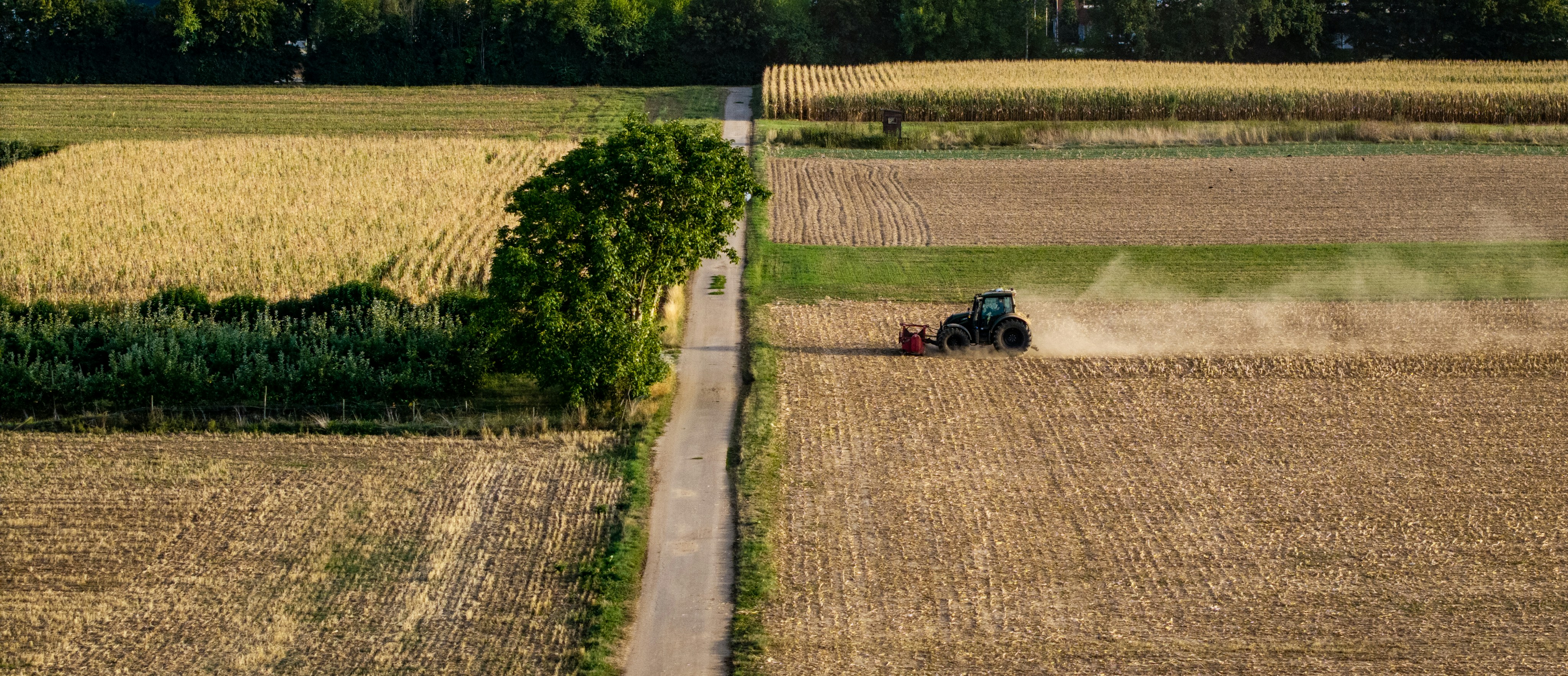 Harvest Field in Perspective: A Tractor Trims the Boundary under Sunny Skies