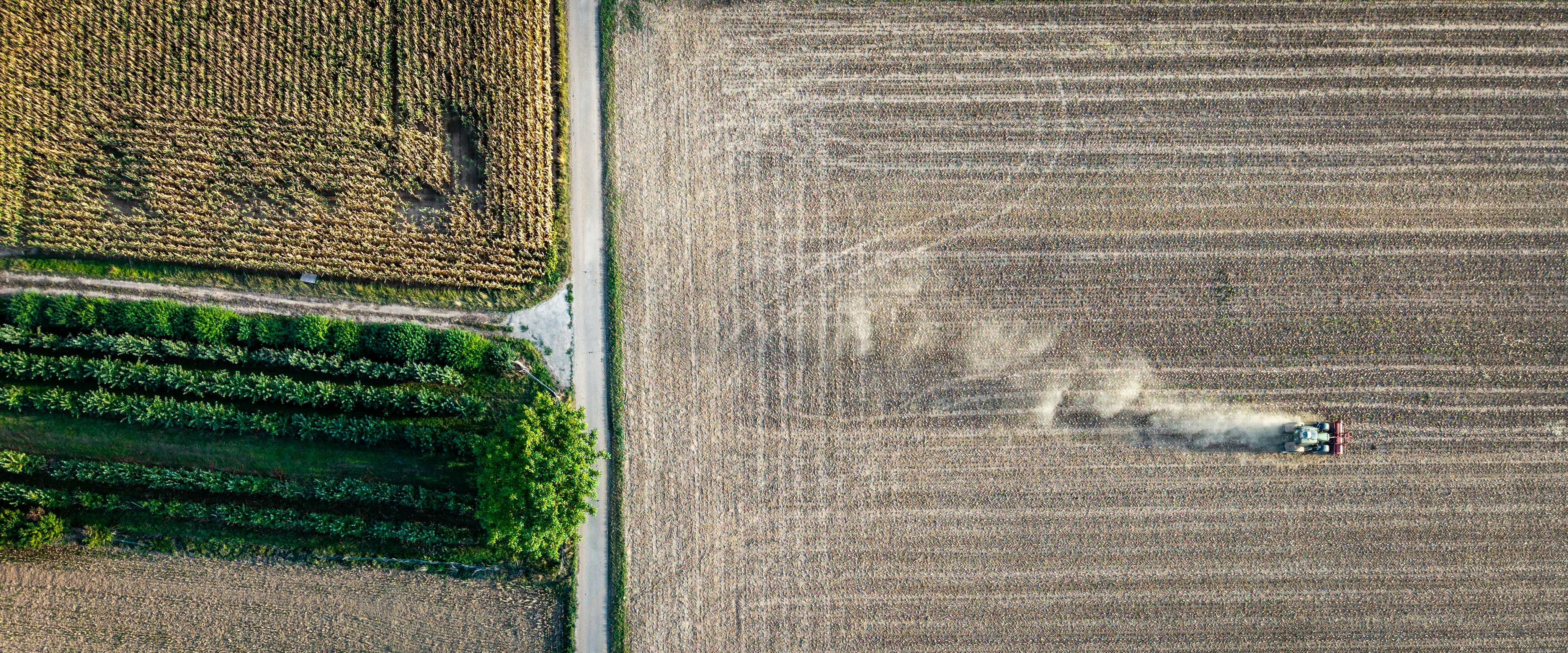 Harvest Path: A Farmer’s Plow Tracing a Quiet Channel Across Fields