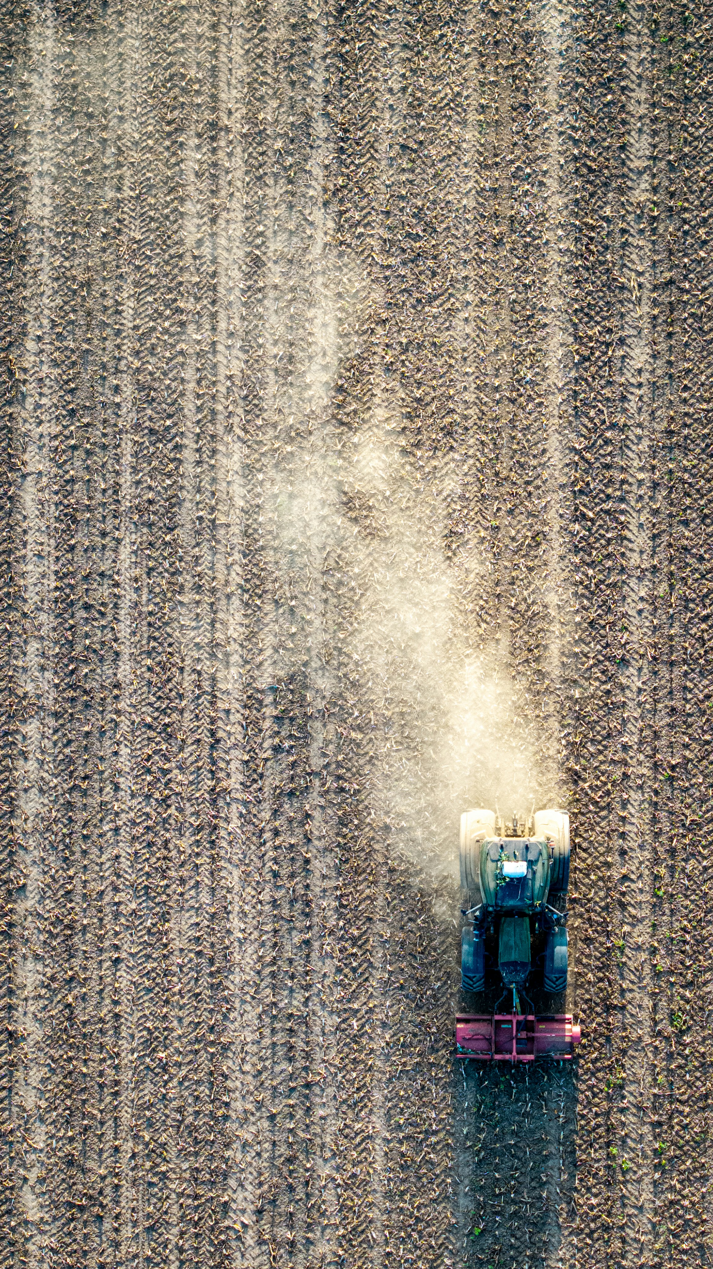 Harvest Tracks: A Tractor Paints Silver Lines Across a Field