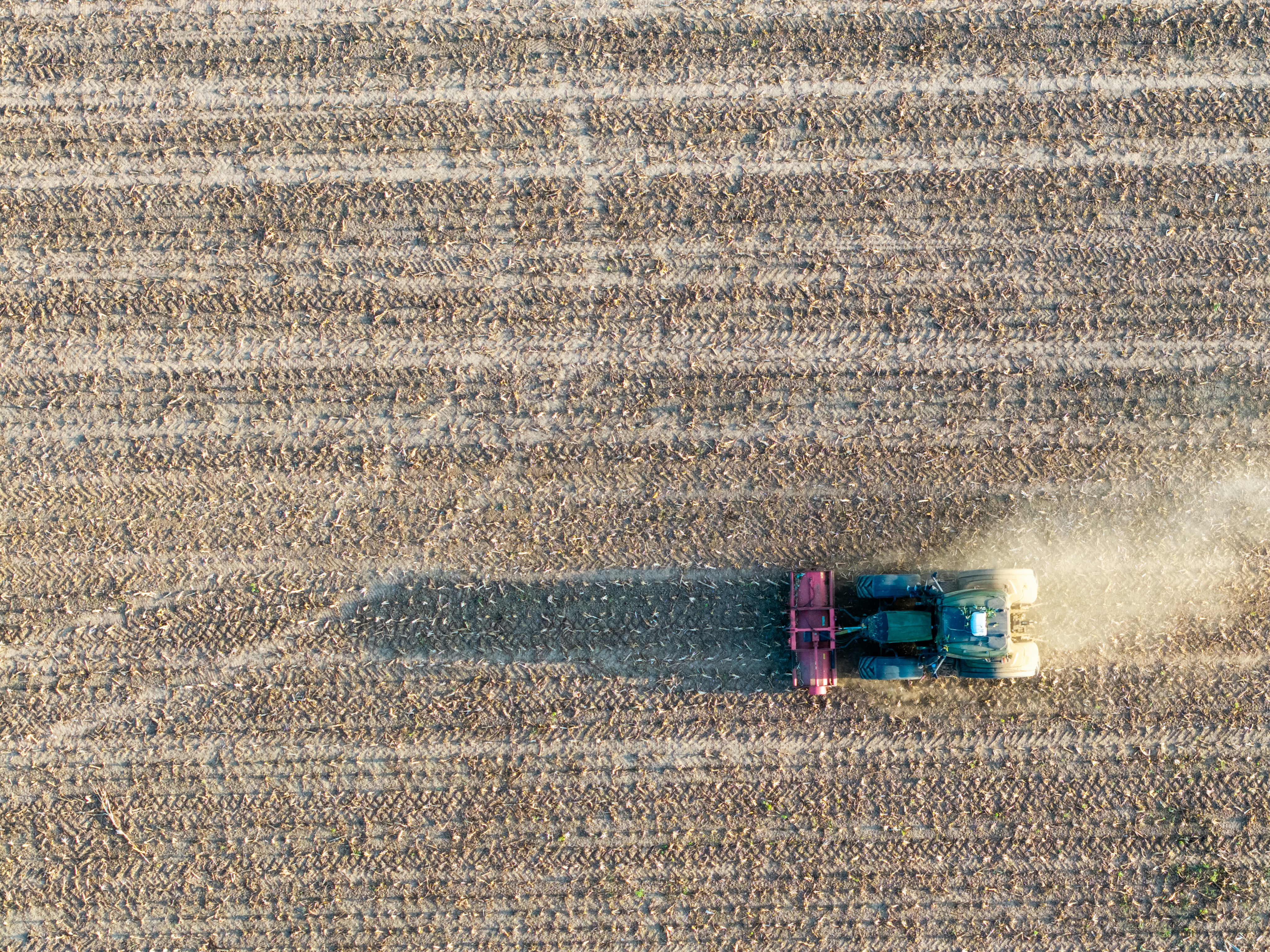 Dust Trail of a Compact Harvester: Aerial Grit Over Sunlit Field