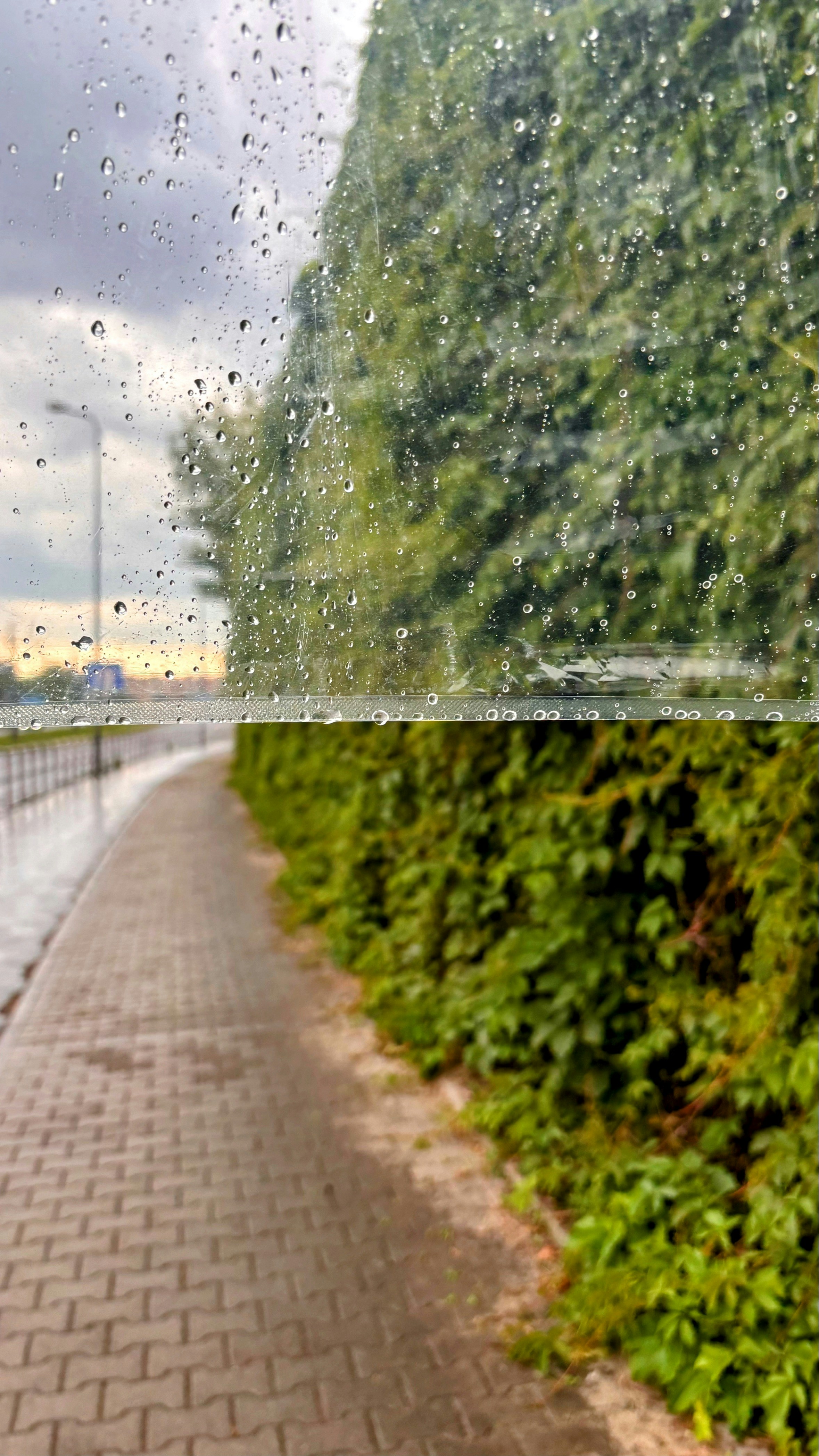 Raindrops on Glass Overlooking a Riverside Path