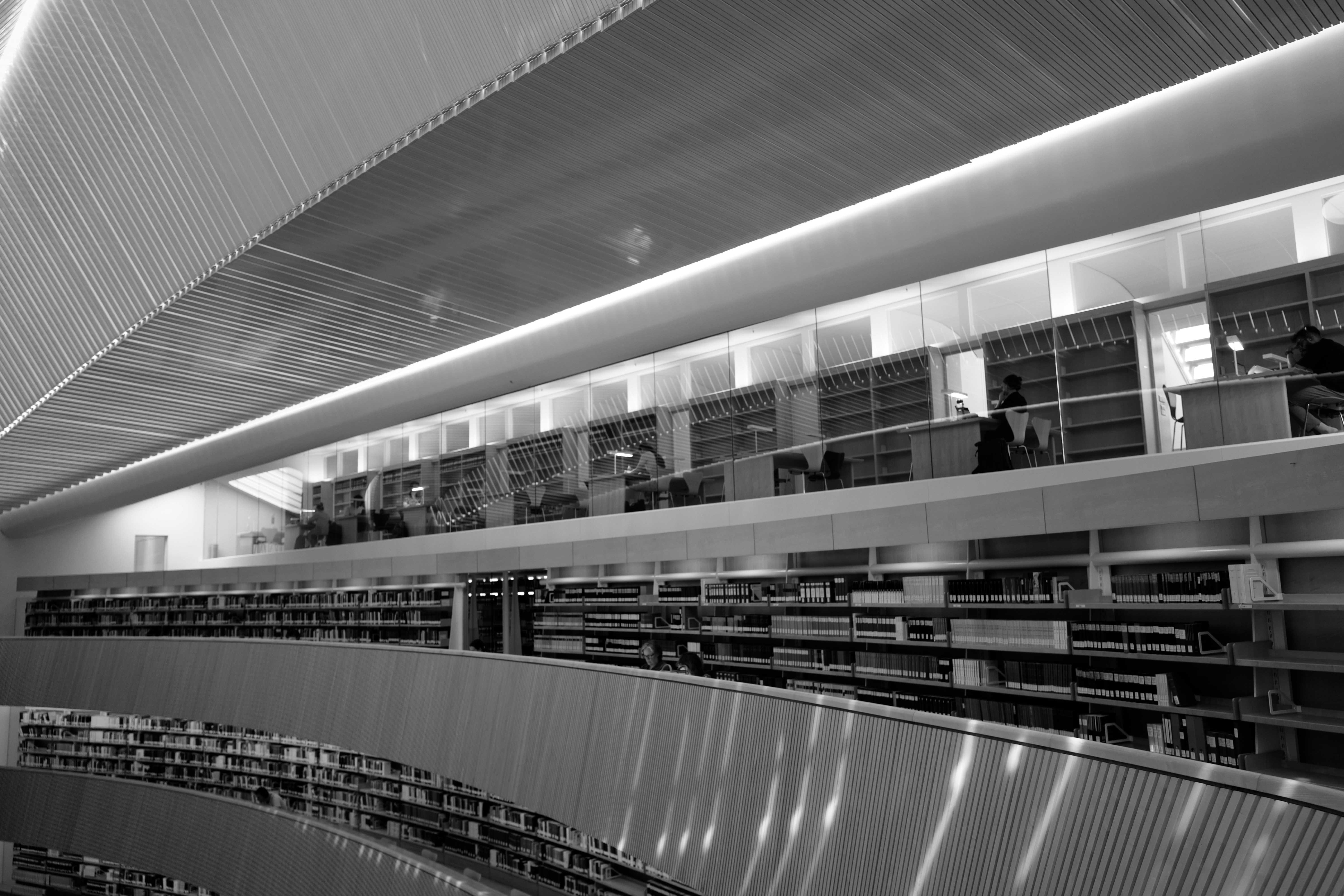 Curved Library Ribbons: An Echoing Atrium in Monochrome