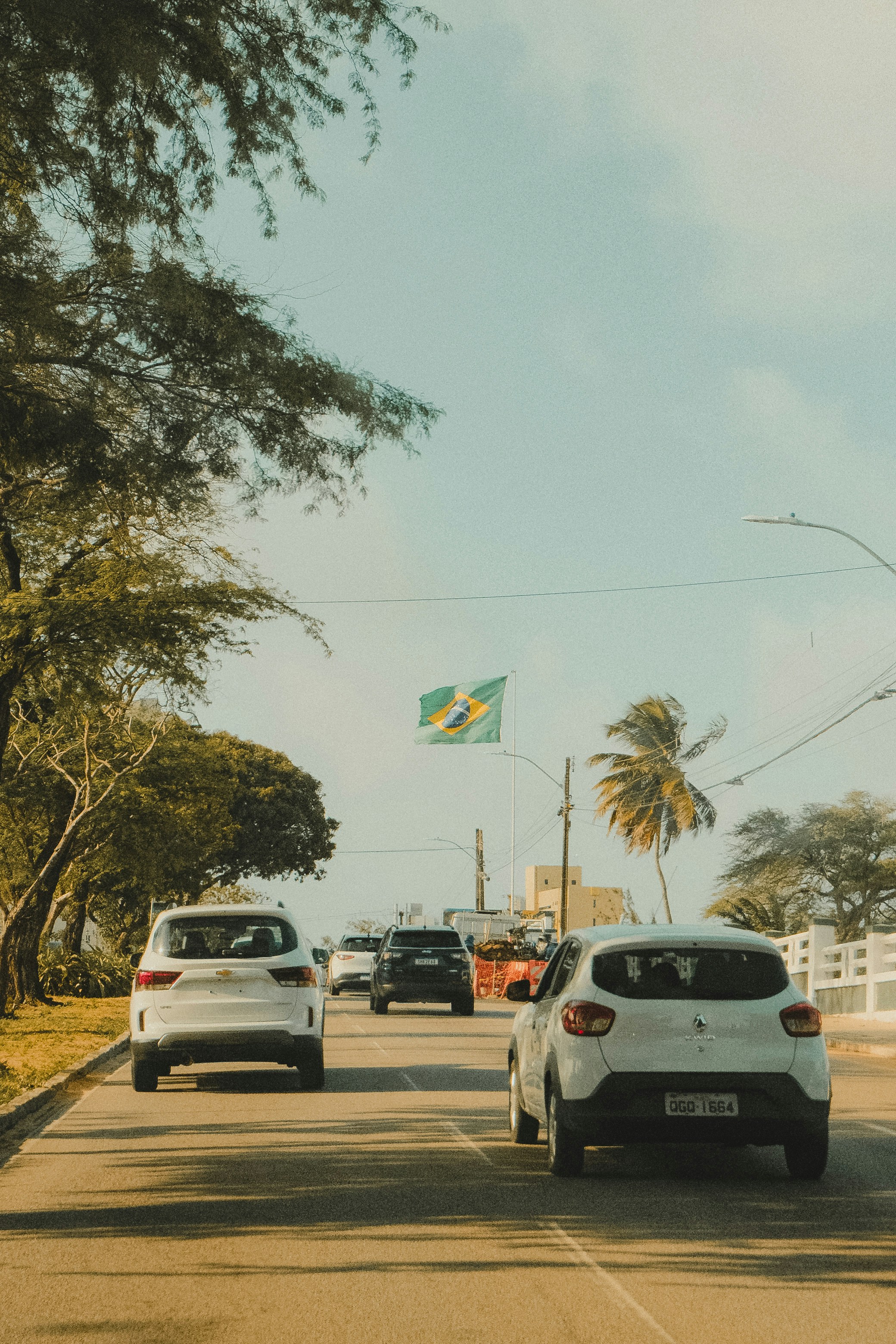 Brasília-bound Traffic: A Quiet Coastal Drive Under a Palm-Studded Sky