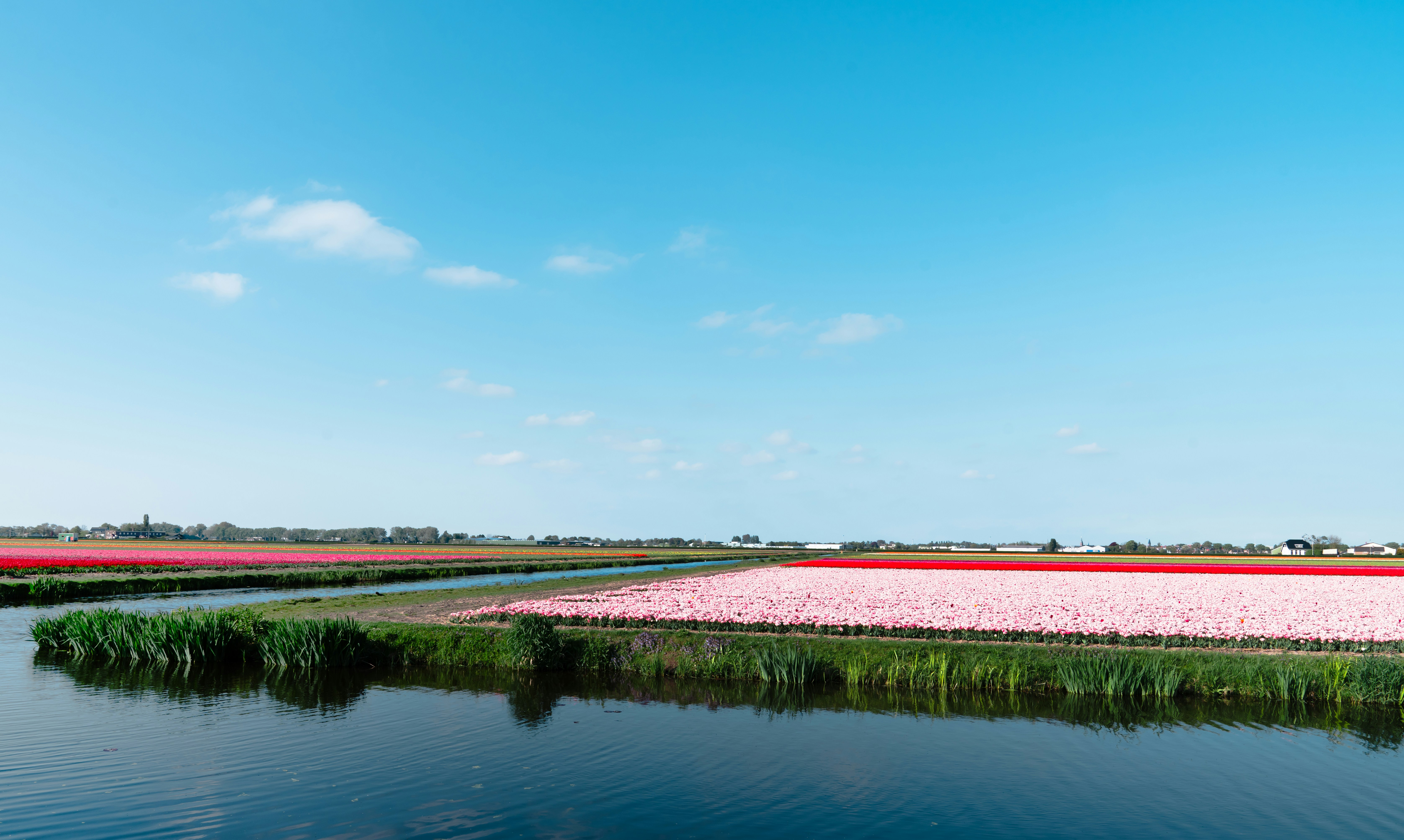 Photo by Elisabeth Rausch with Sony Alpha 7 IV