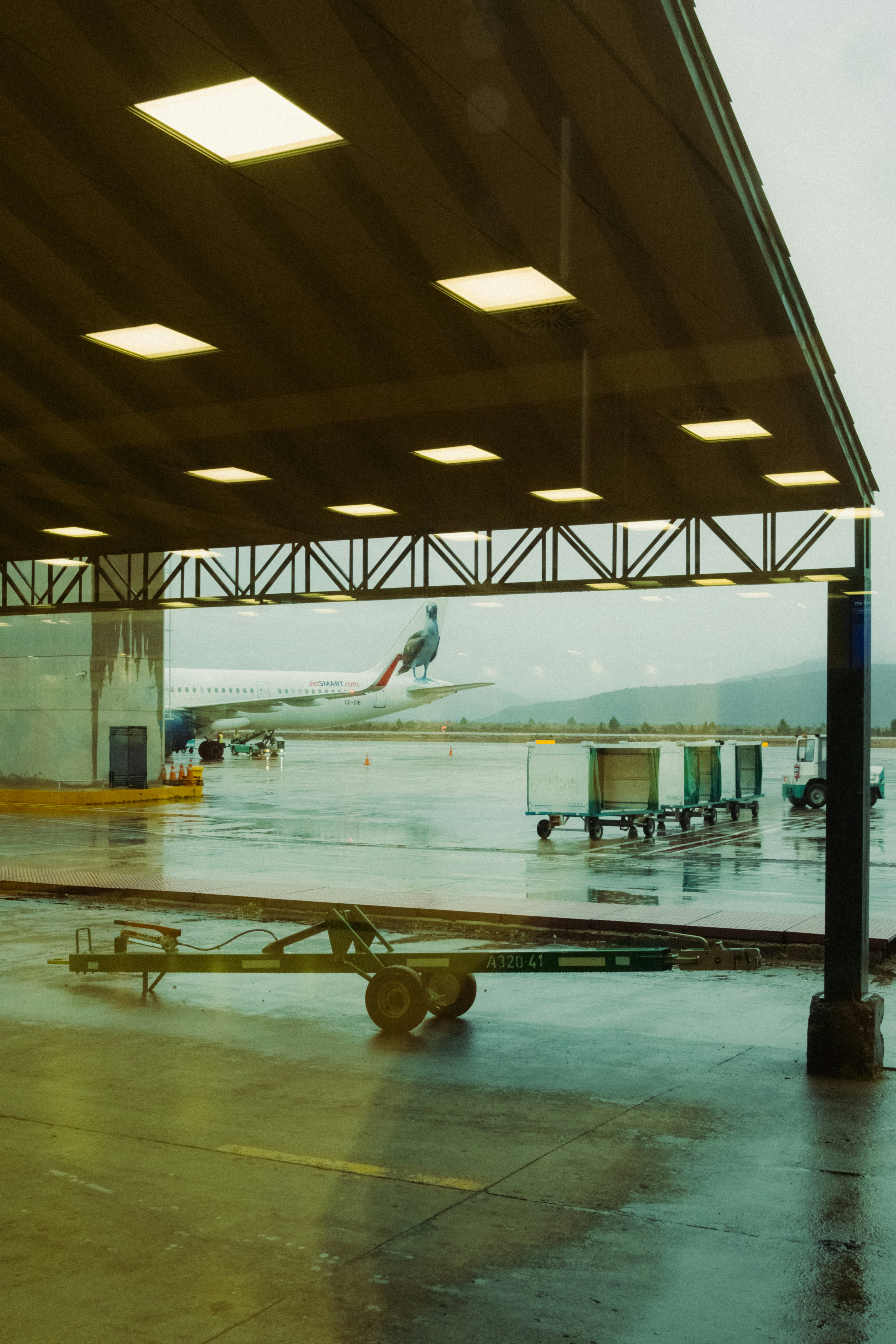 Airside scene through terminal glass showing a parked jet and ground equipment on a damp tarmac under a shaded canopy.