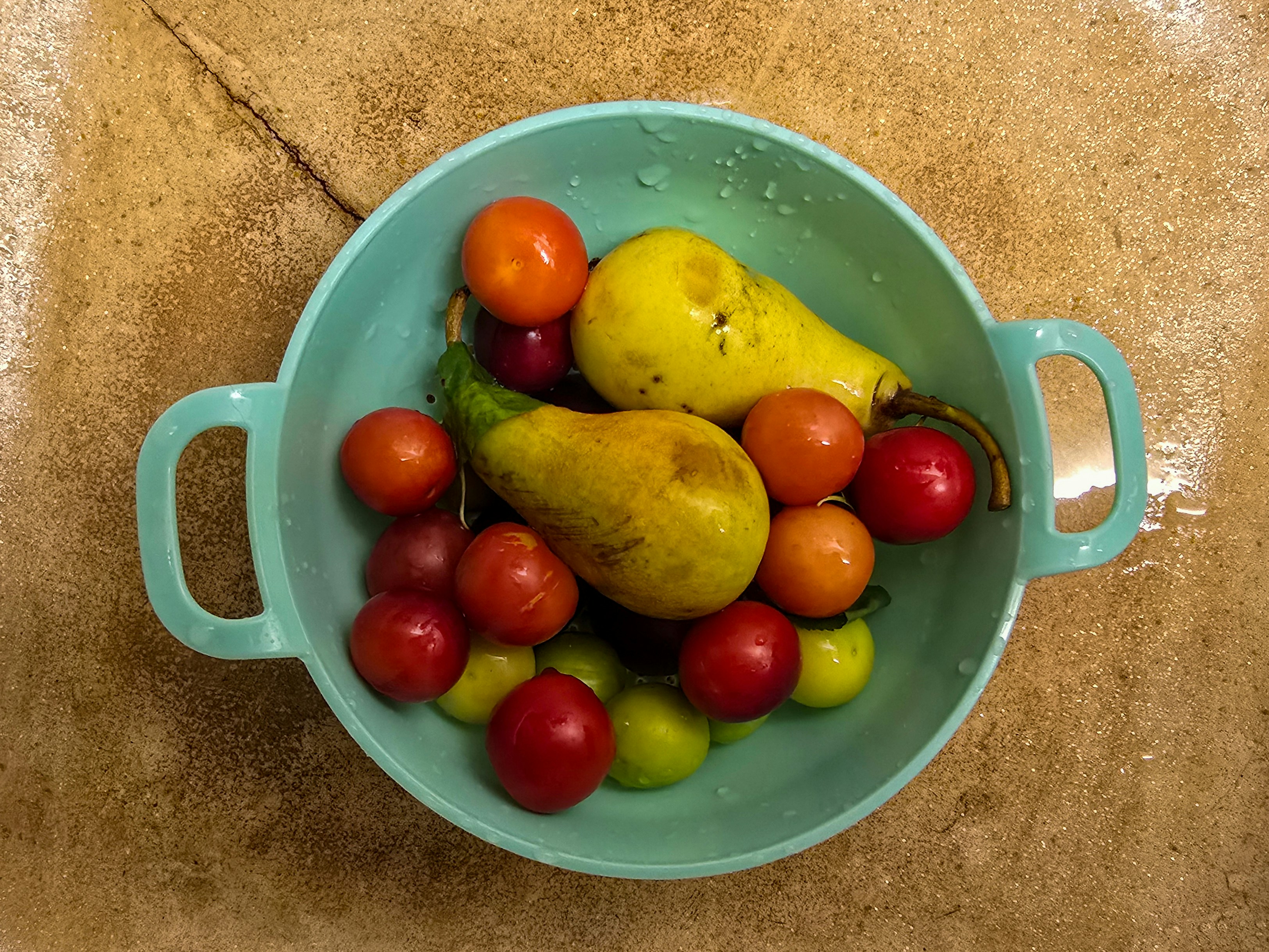 Quince and Cherry Lantern: A turquoise bowl of fruit resting on a sunlit surface