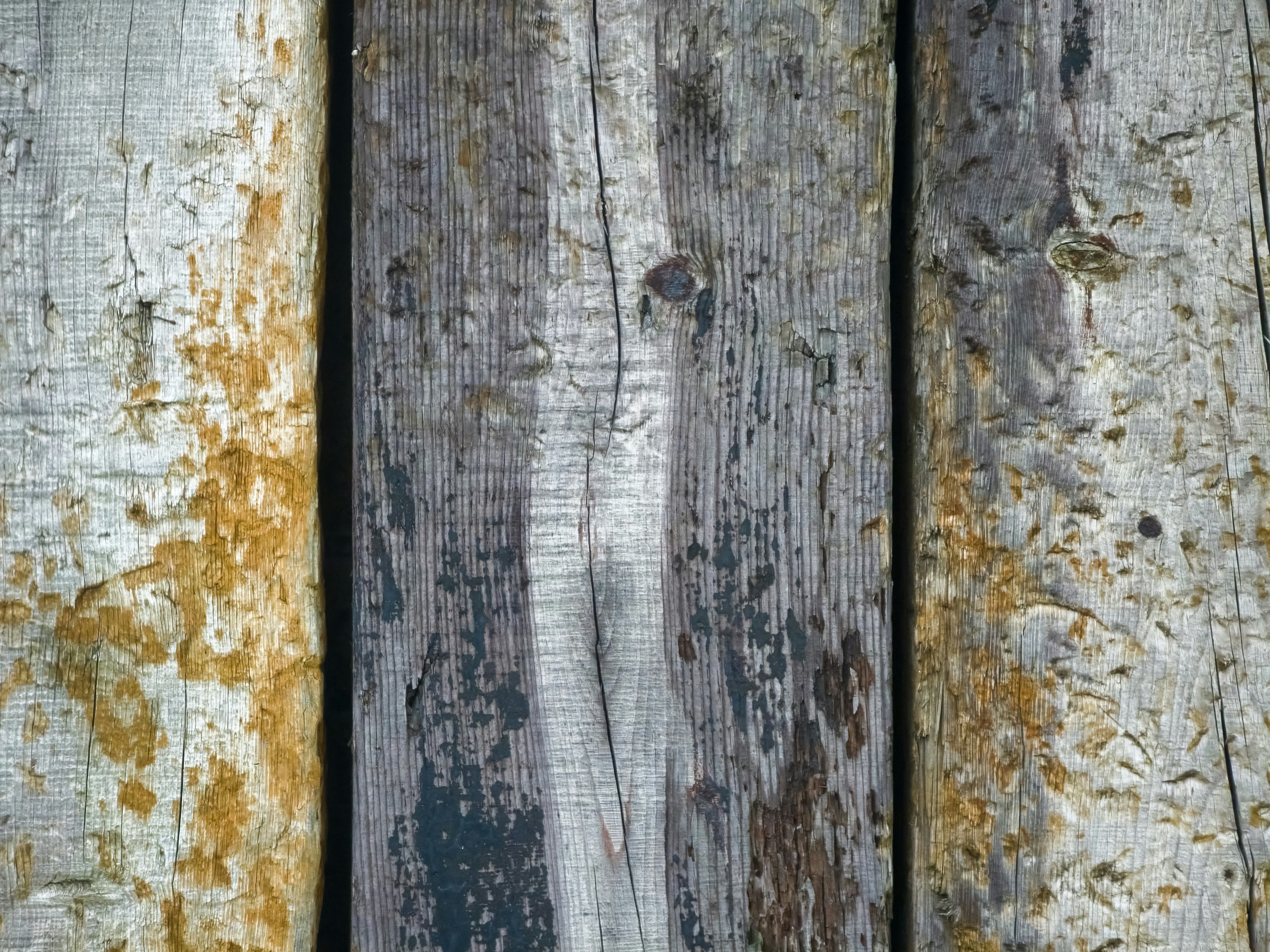 Close-up view of weathered vertical wooden planks showing natural grain, cracks, and rustic distressed texture. Ideal for design backgrounds.
