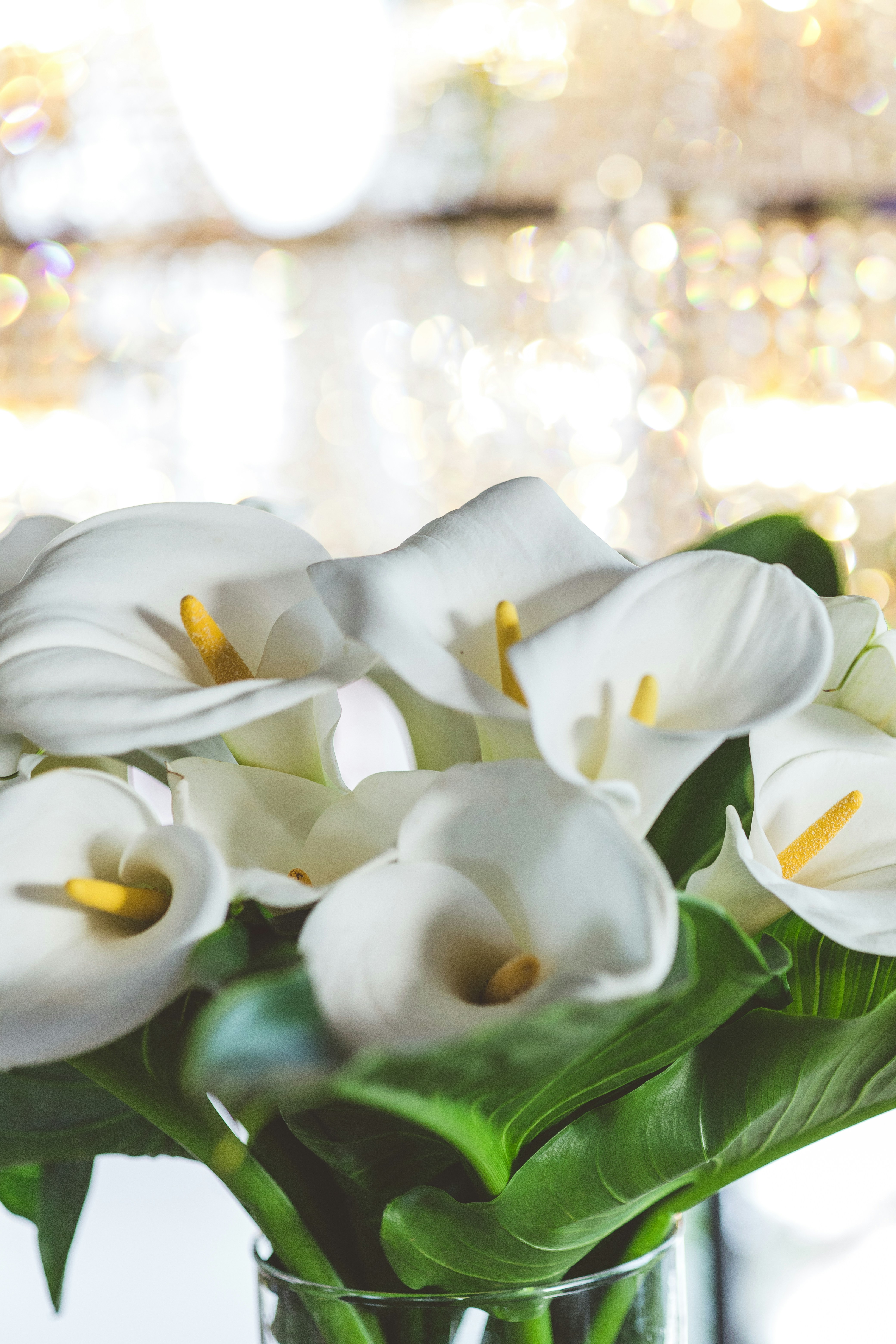 White Calla Bloom Bouquet with Golden Stamen in Glass Vase
