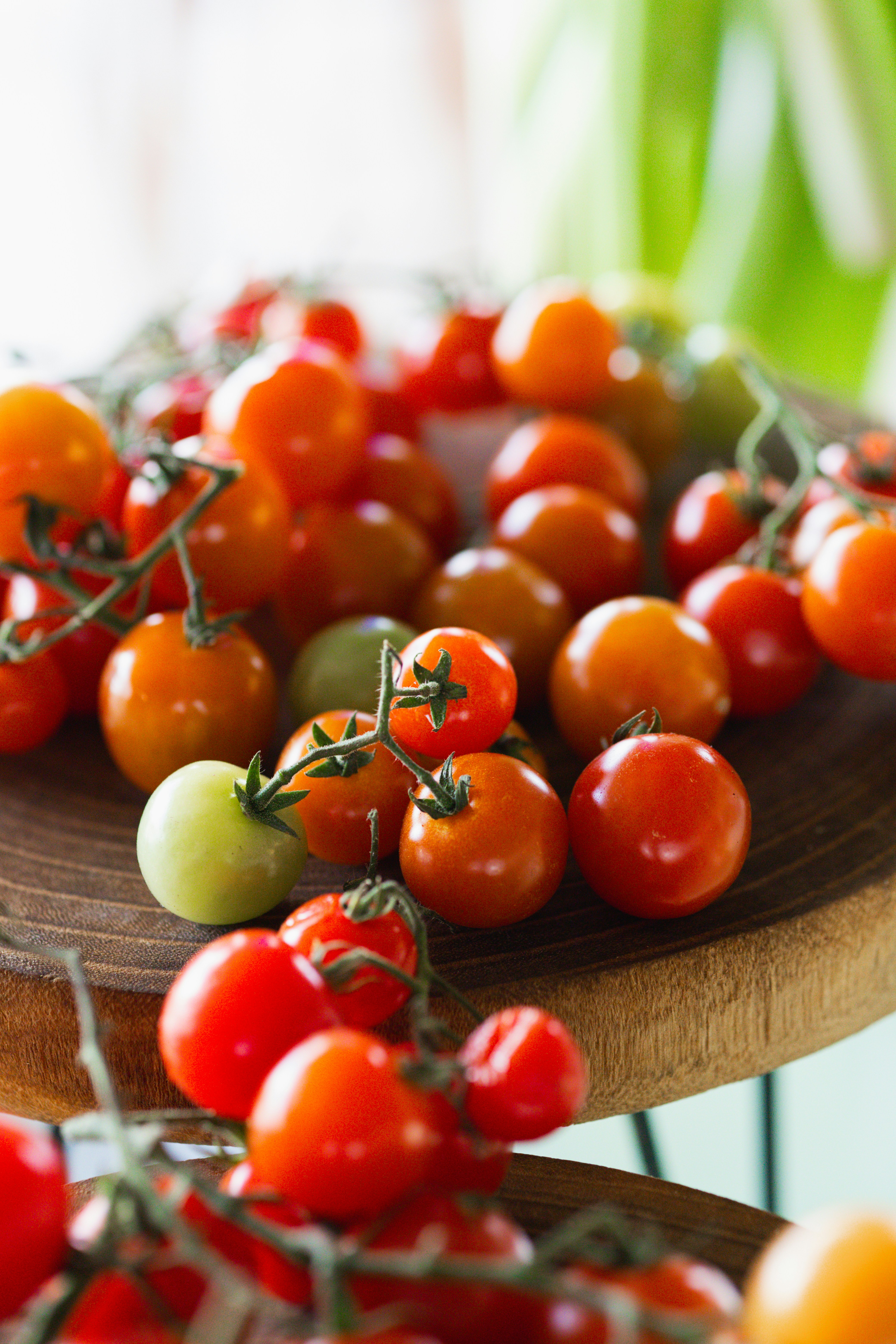 Crimson Harvest: Cherry Tomatoes Cascade Across a Wooden Tray