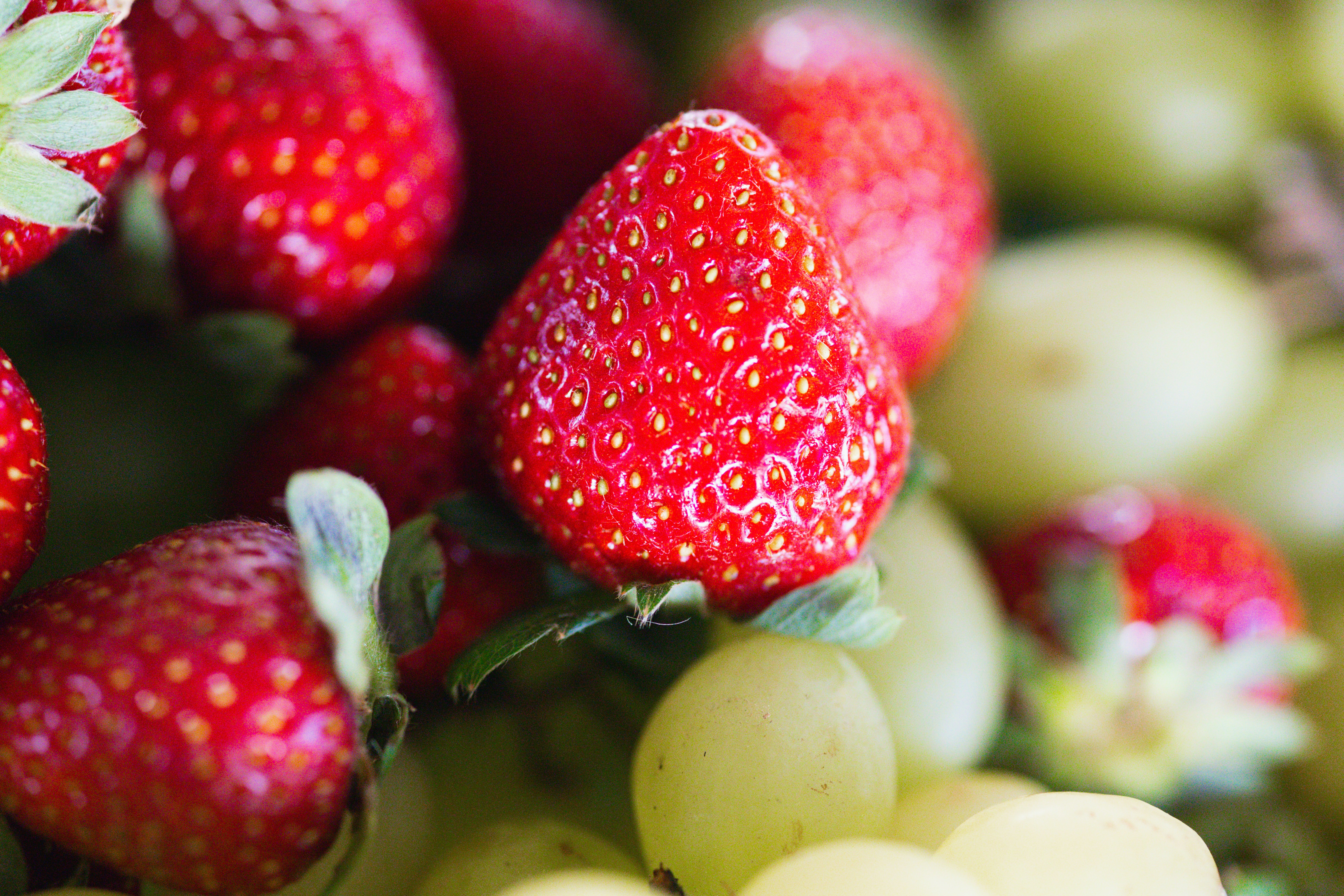Crimson Strawberry Crowned Among Whispering Berries