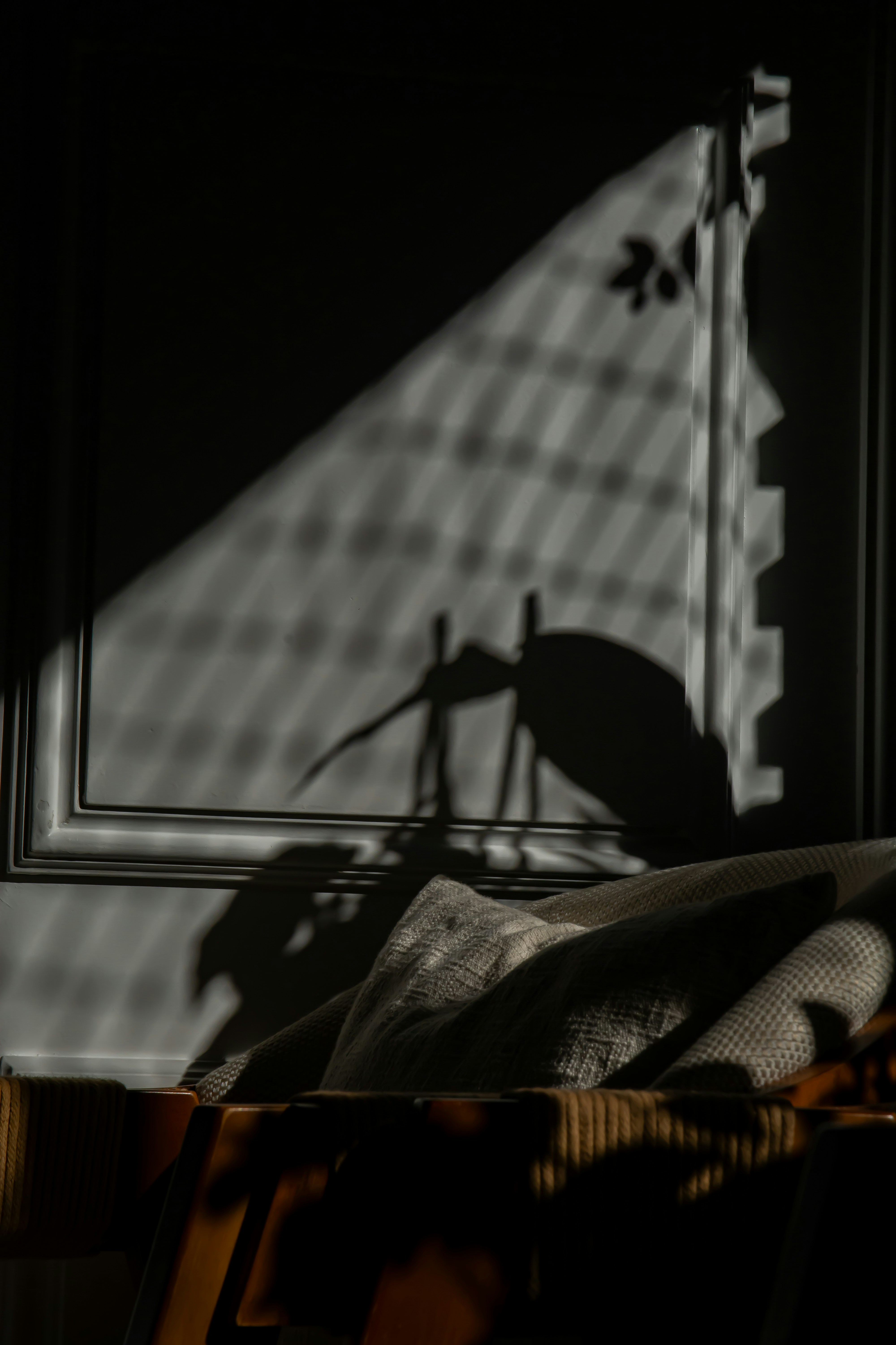Shadows on a Quiet Doorframe