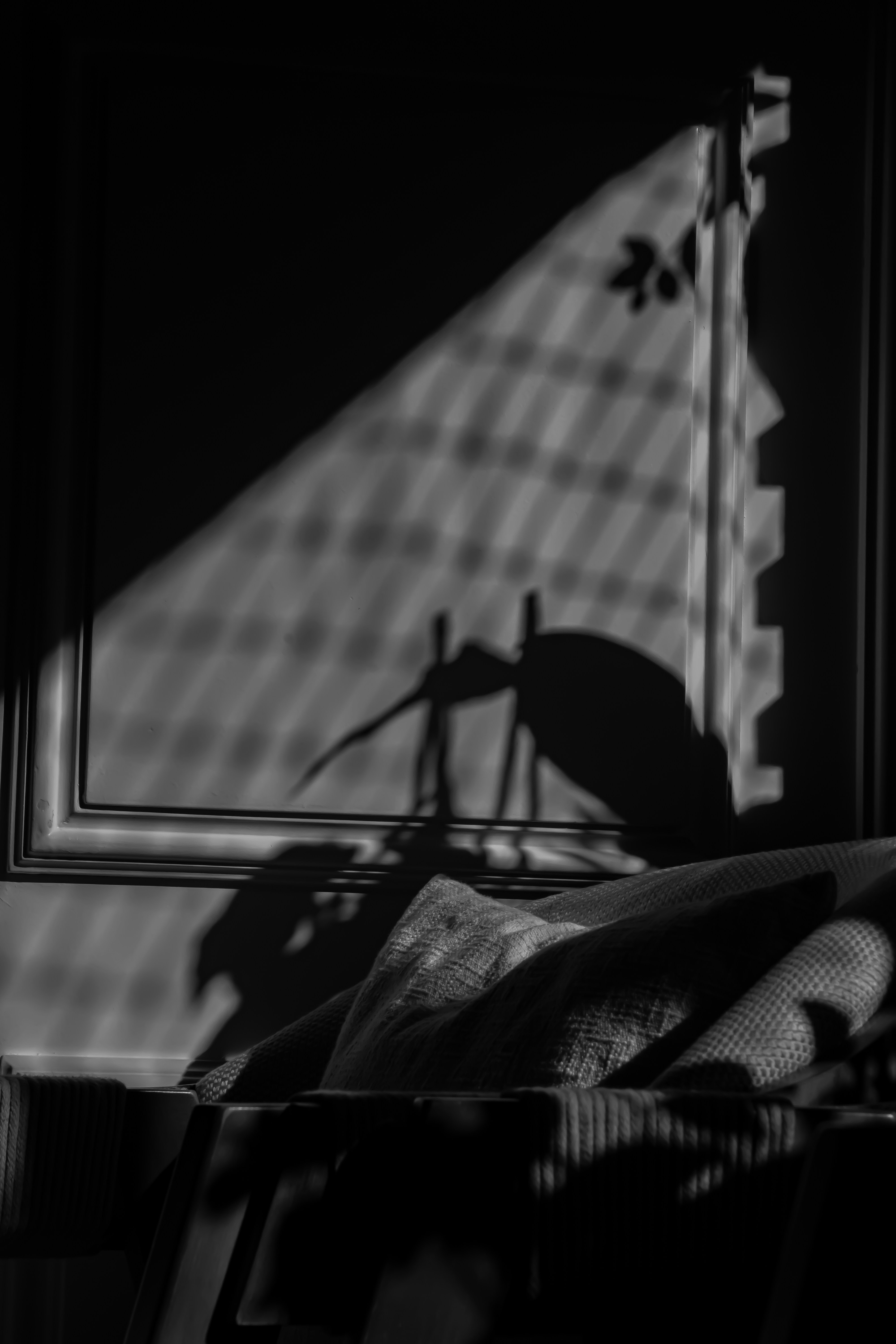 Monochrome scene of a softly draped fabric resting against a paneled wall, casting geometric shadows from a lattice-pattern light source. A subtle silhouette adds depth to the intimate still life.