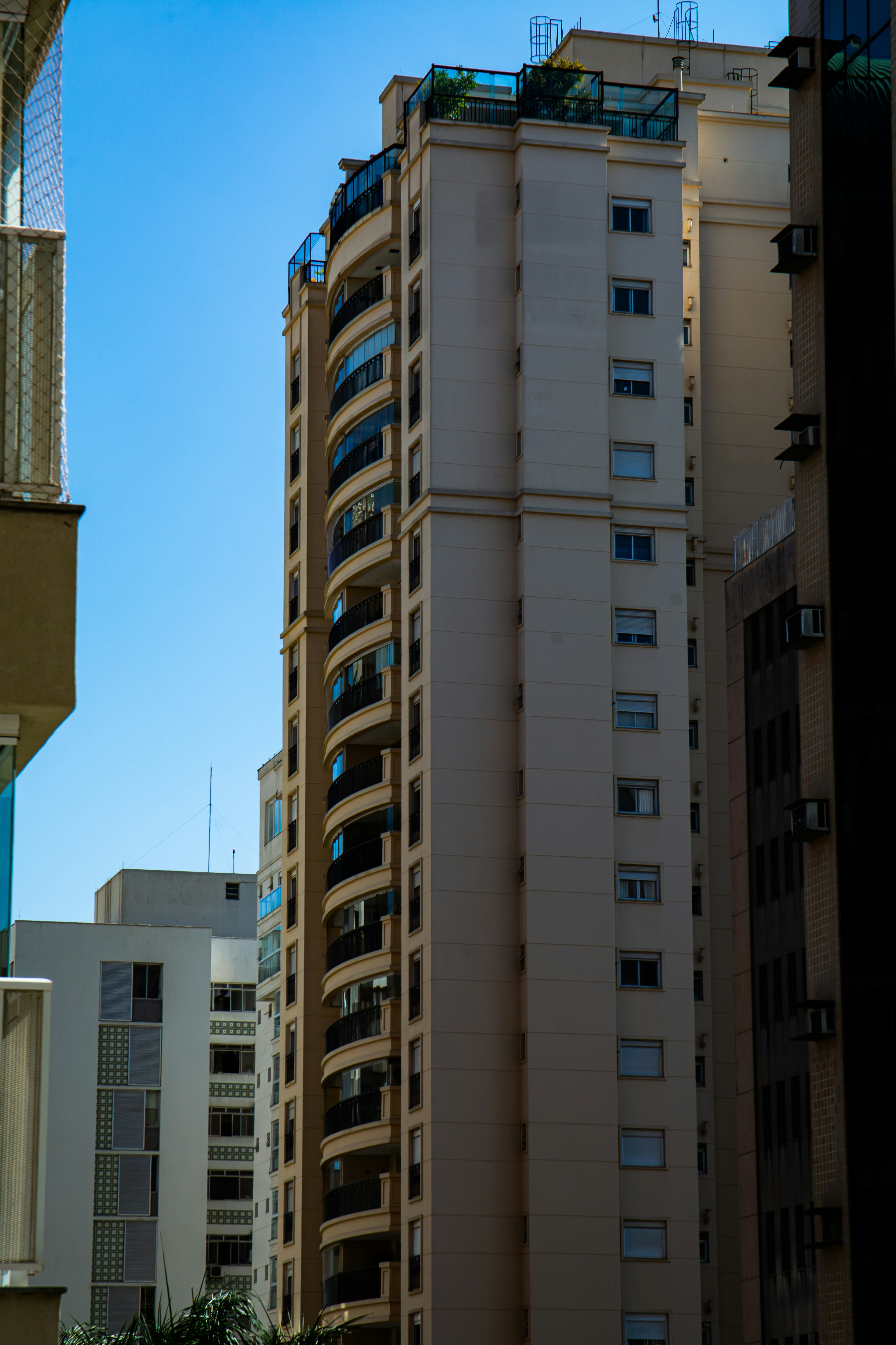 Towering Facade: Sunlit Curve and Concrete Rhythm
