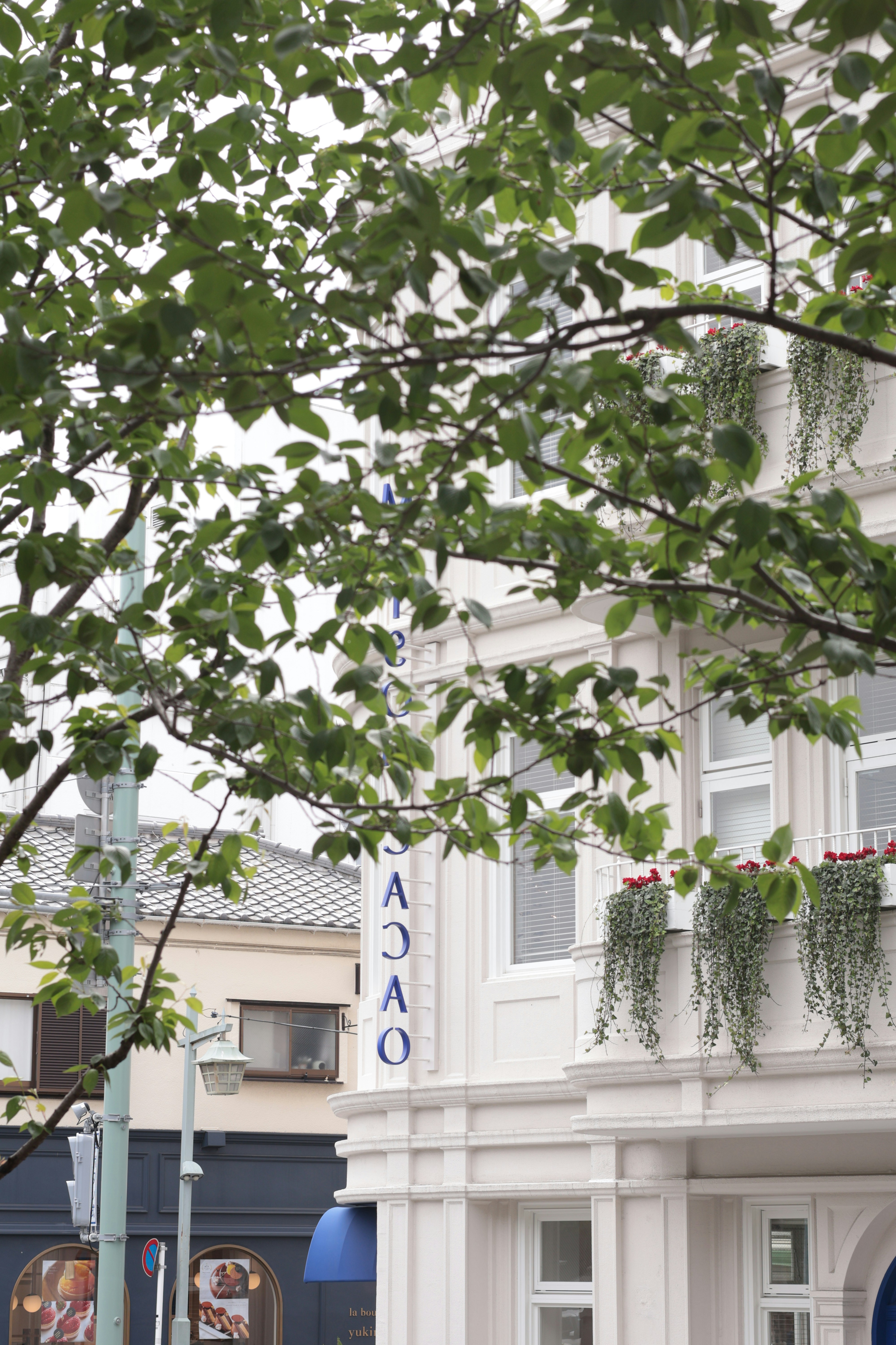 Framed in Green: Urban Facade Beneath a Canopy