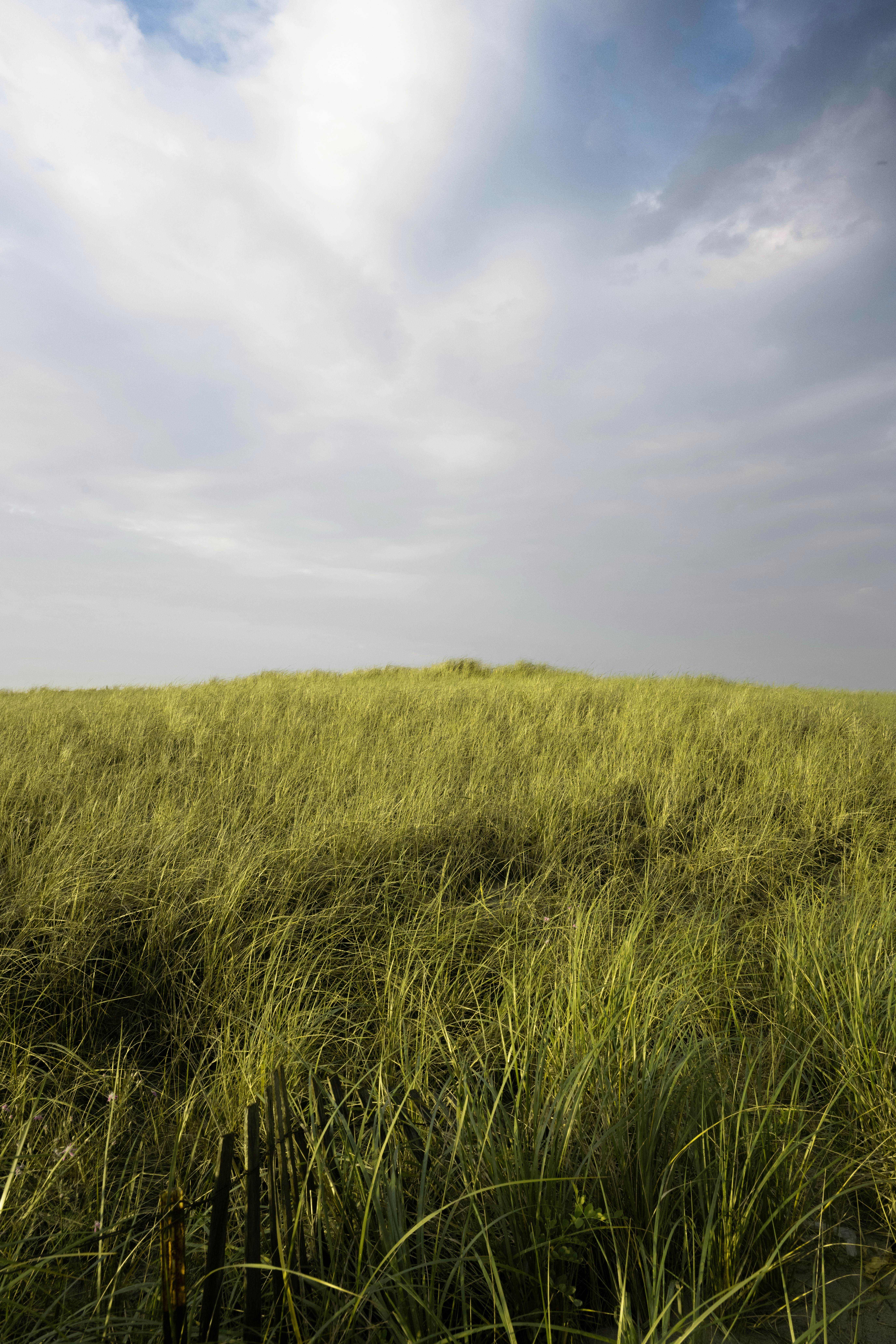 Dune Sea Under a Quiet Skies
