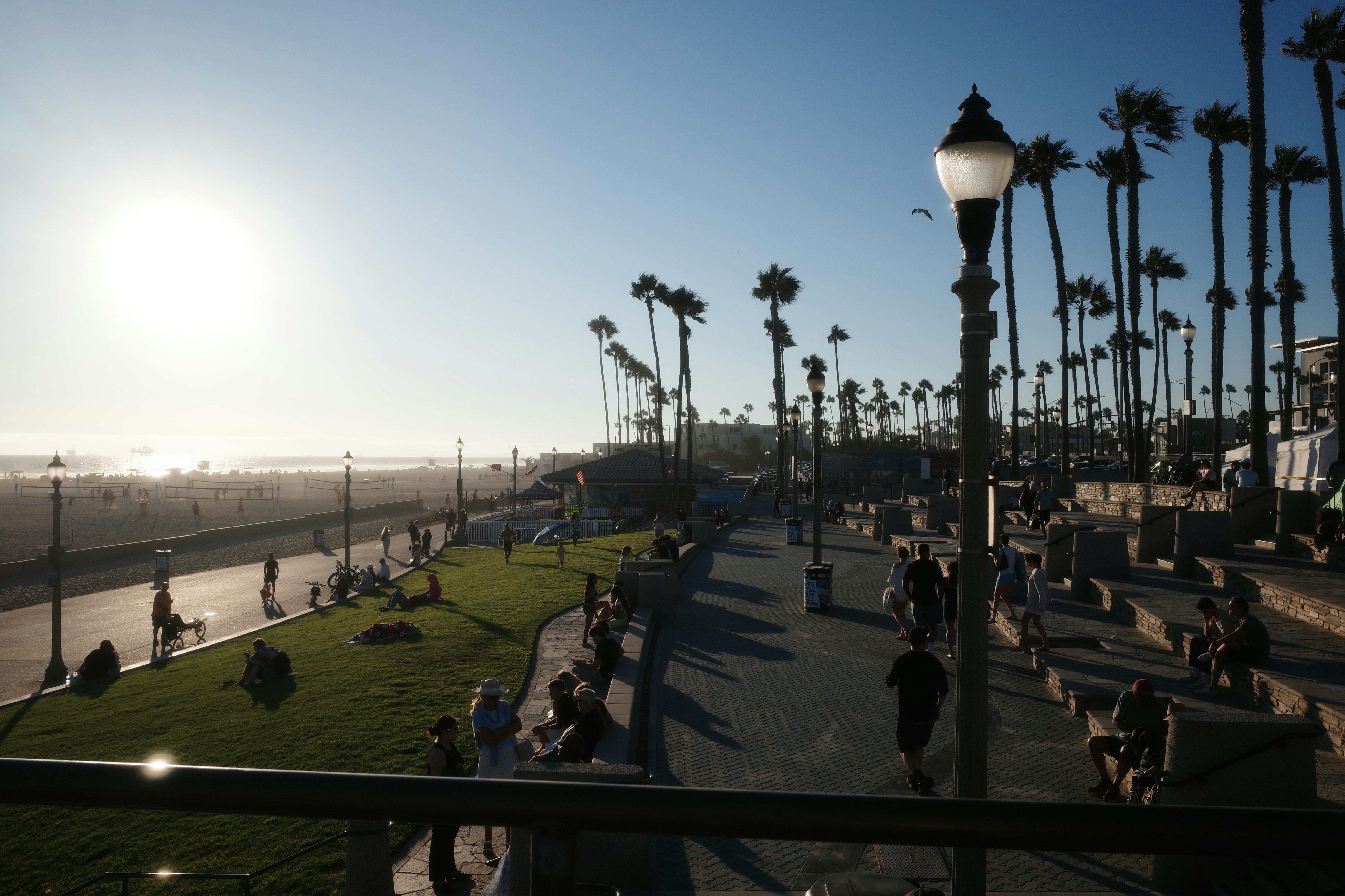 Sunlit Promenade at Sunset: Palm-lined Coastline and Social Dwellers