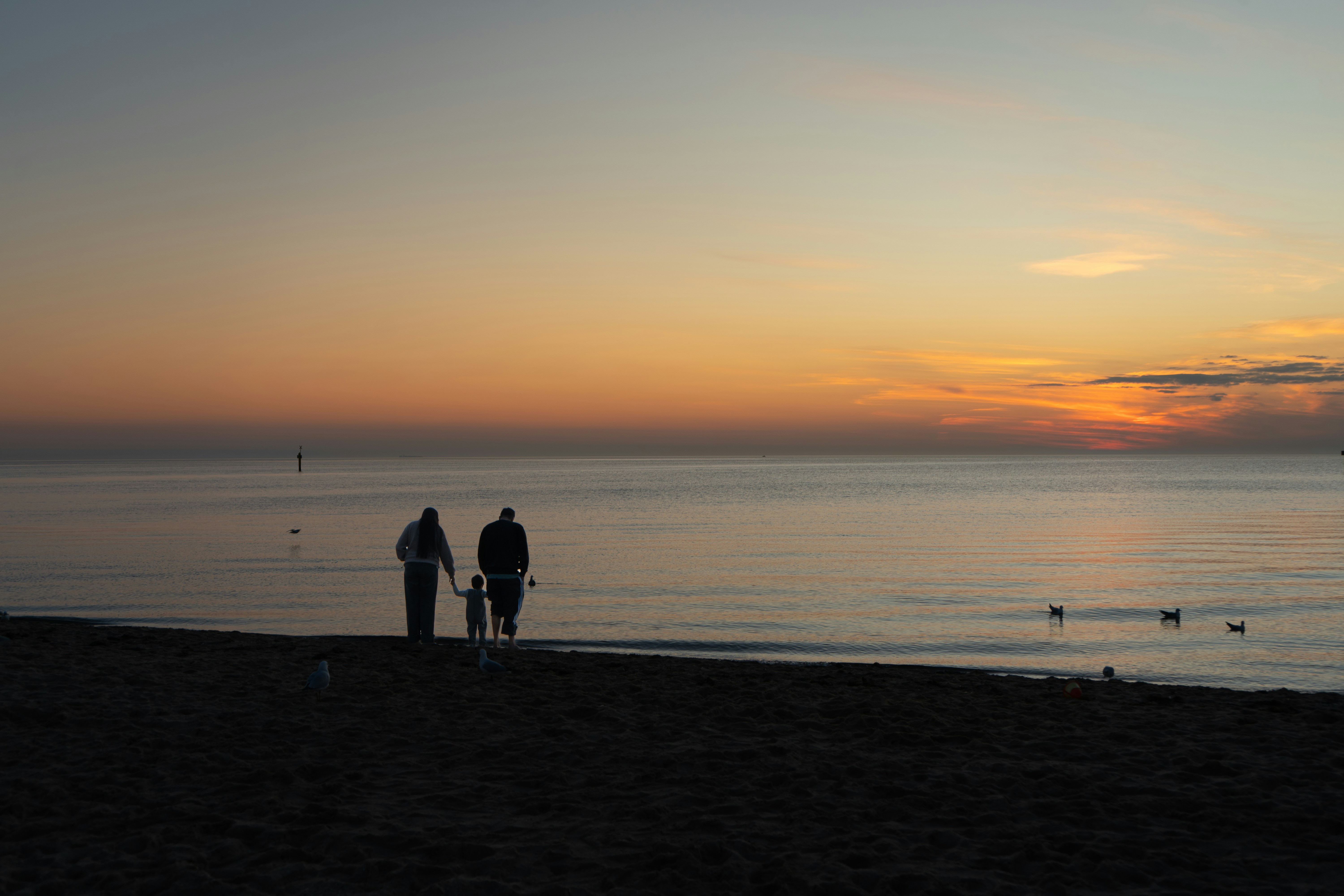 Evening Constellation by the Shore