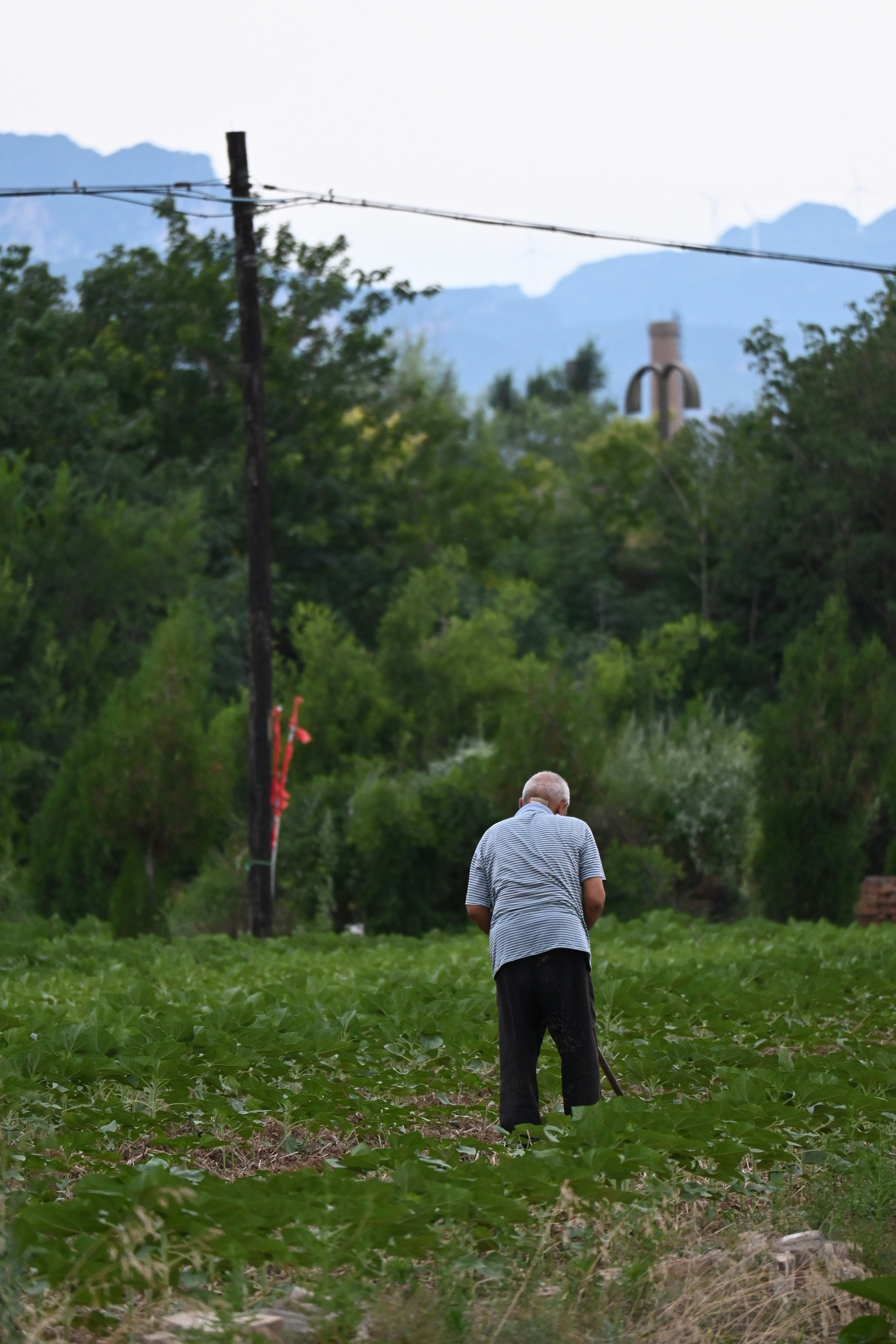 Farmer in the Field Under Distant Ridge