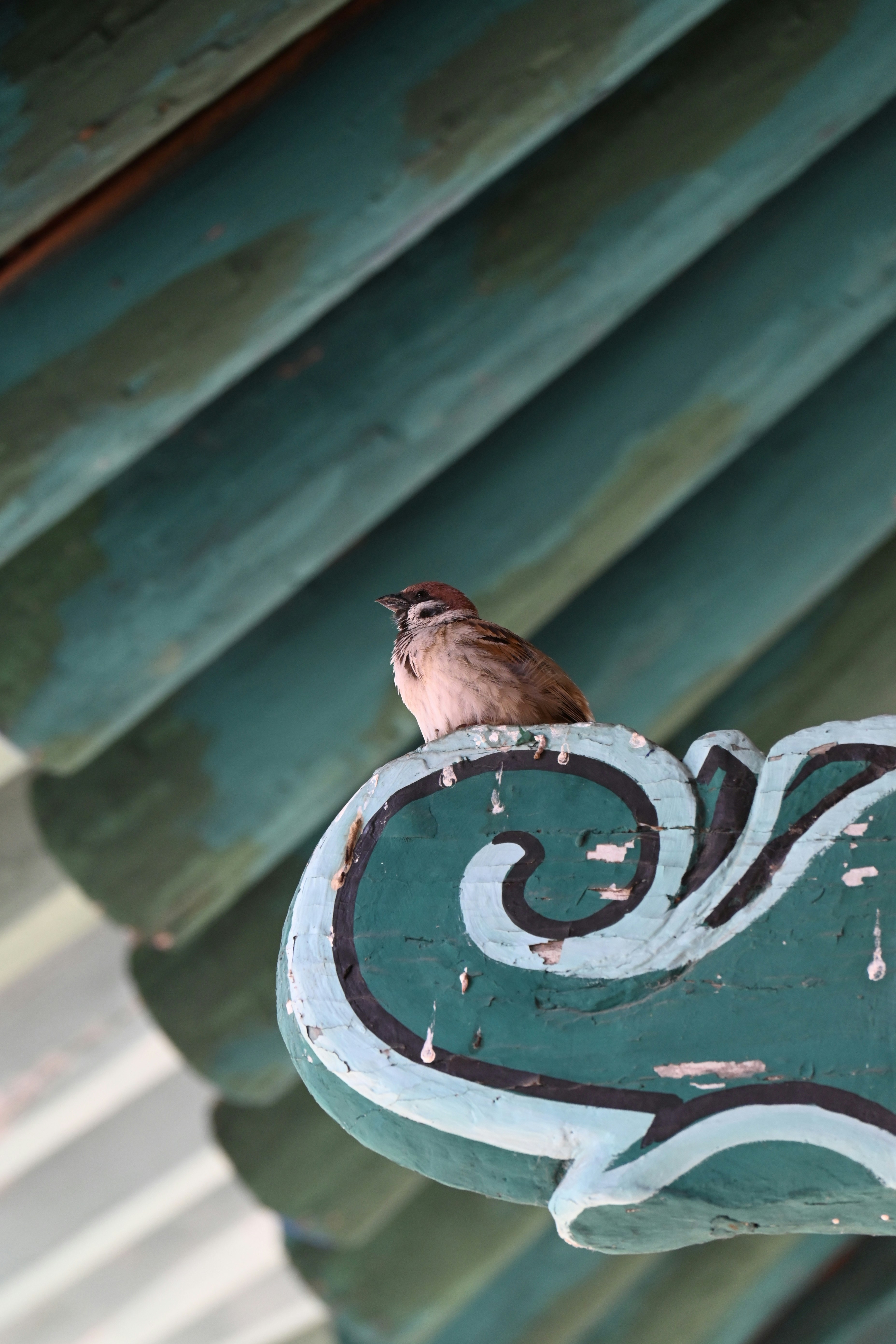 Bird on Painted Eave: A Tiny Moment of Stillness Amid Carved Green Scrolls