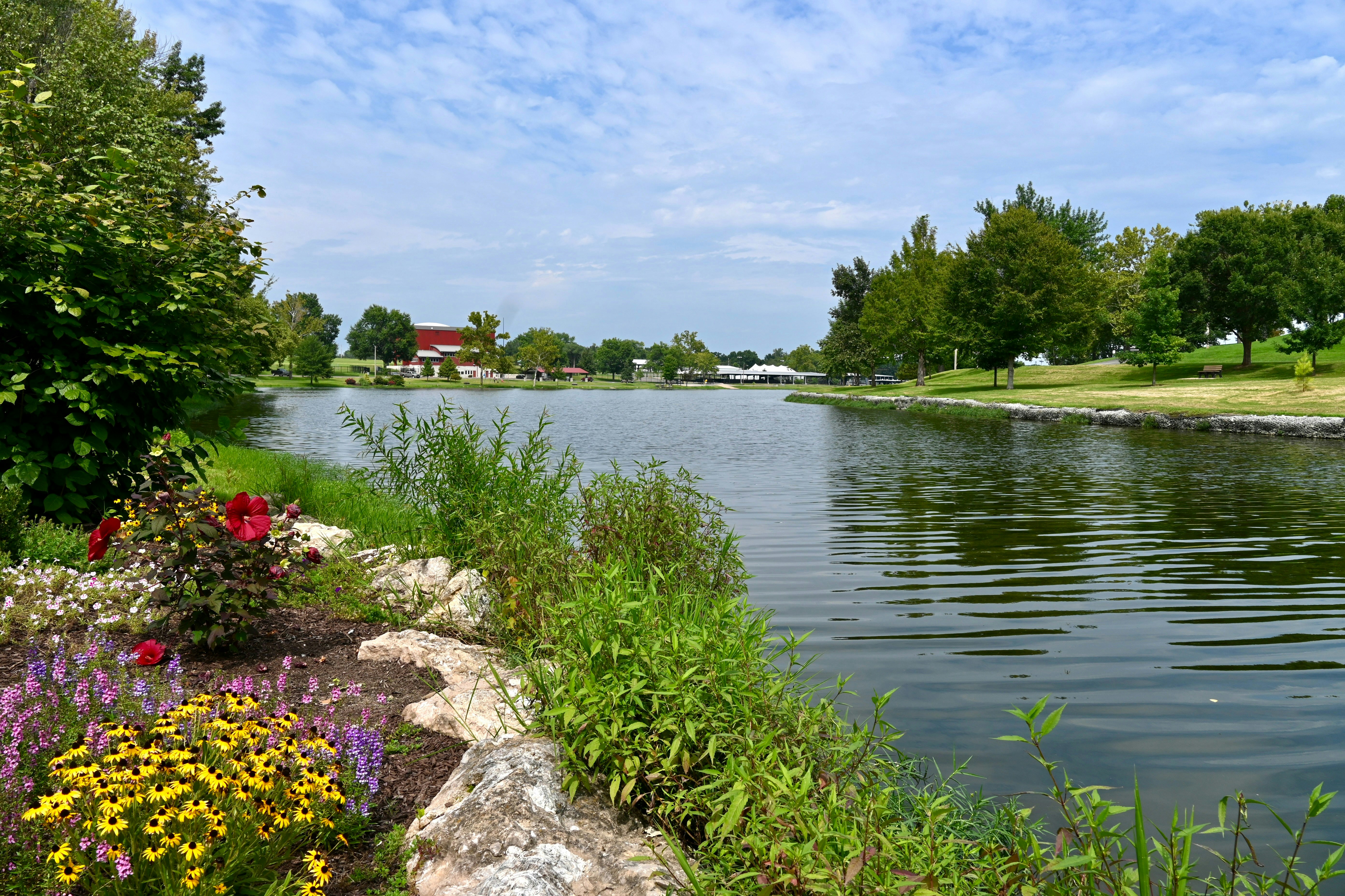 Sunlit lakeside garden with colorful blossoms in the foreground and a calm water body lined by trees and distant buildings. This photograph captures a tranquil park scene with vibrant plant life and a clear, open sky.