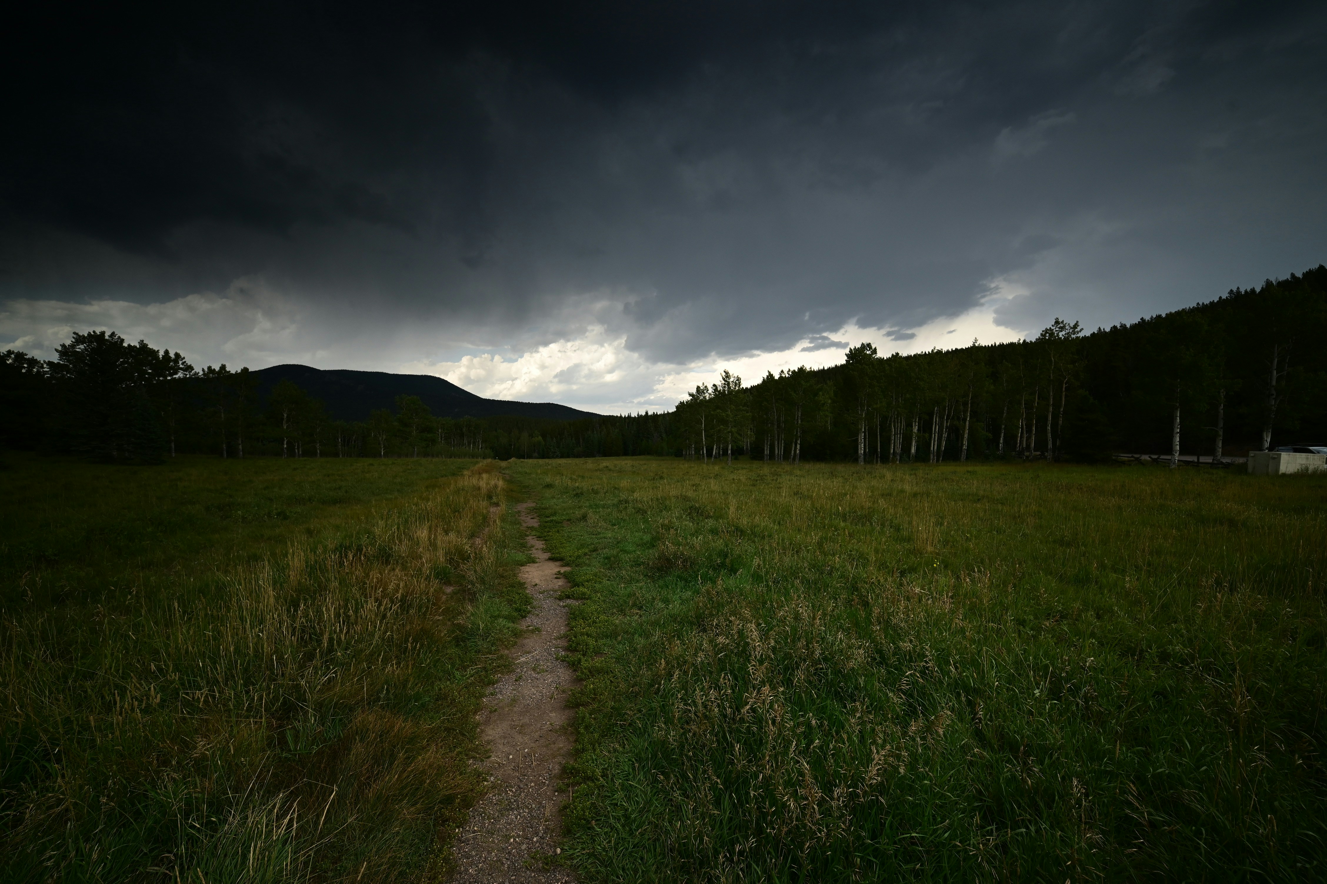 Storm-Bound Path: A Narrow Trail Through Moonlit Meadow