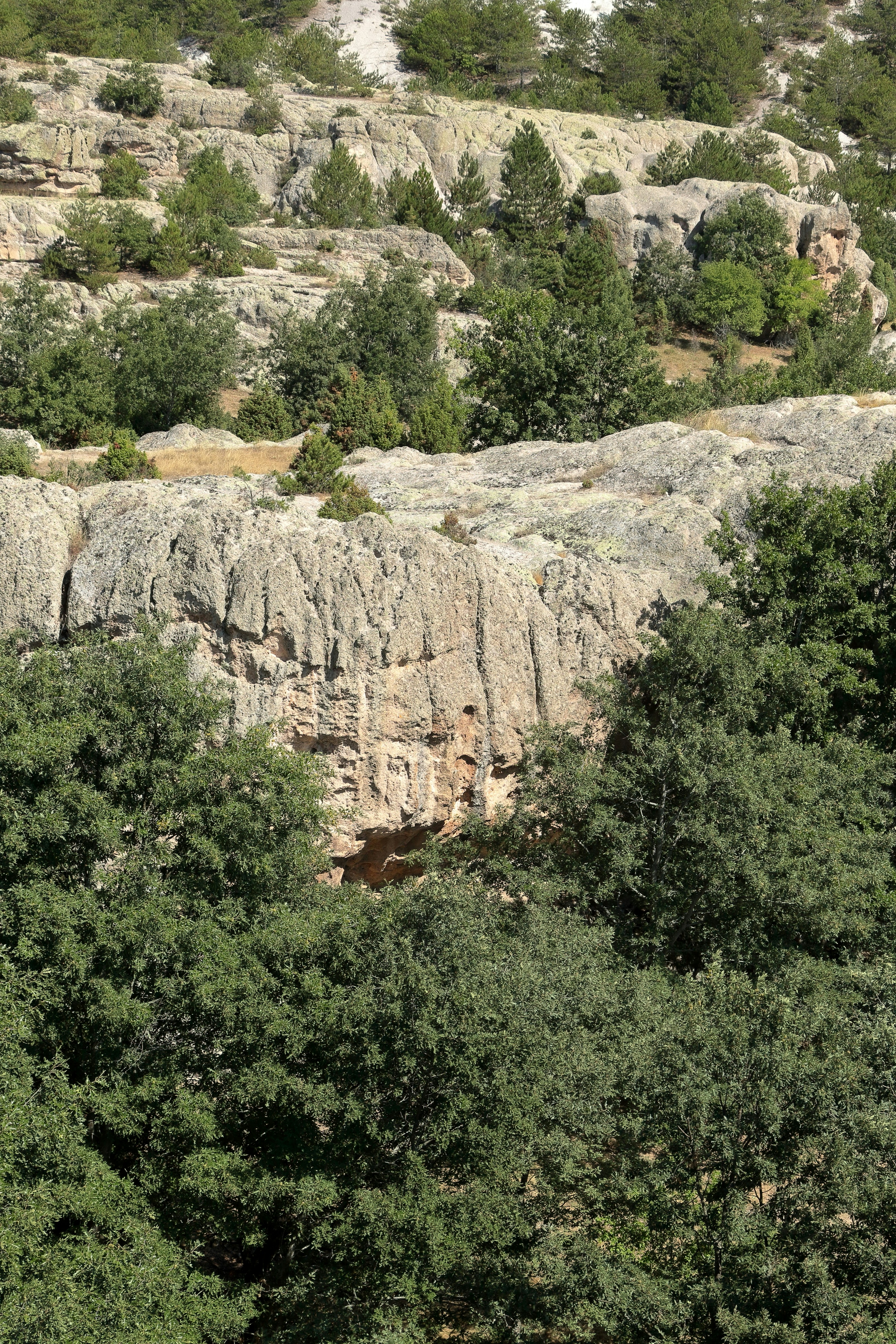 Rugged limestone amphitheater framed by pine and scrub