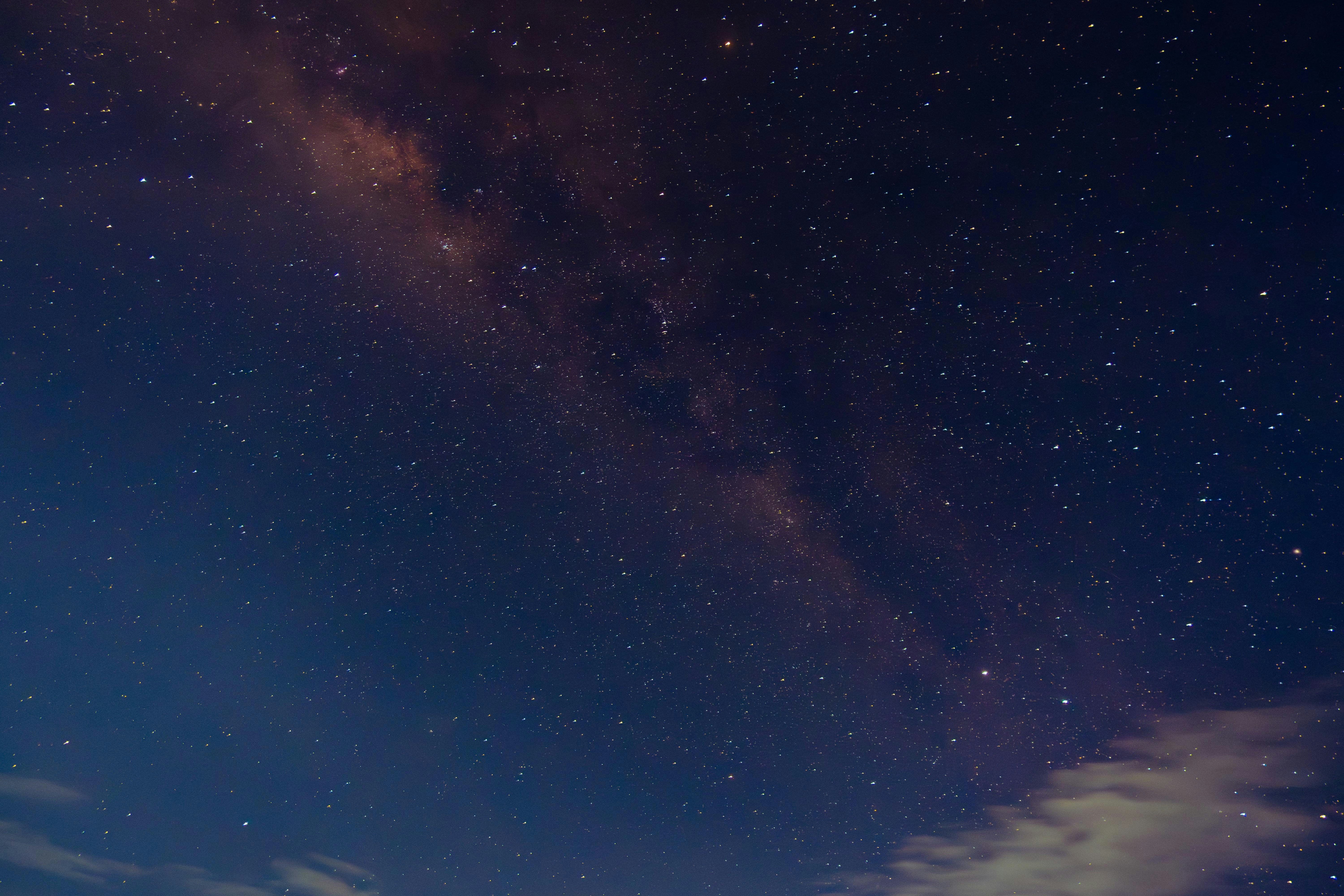 Starry Veil Over Quiet Horizon