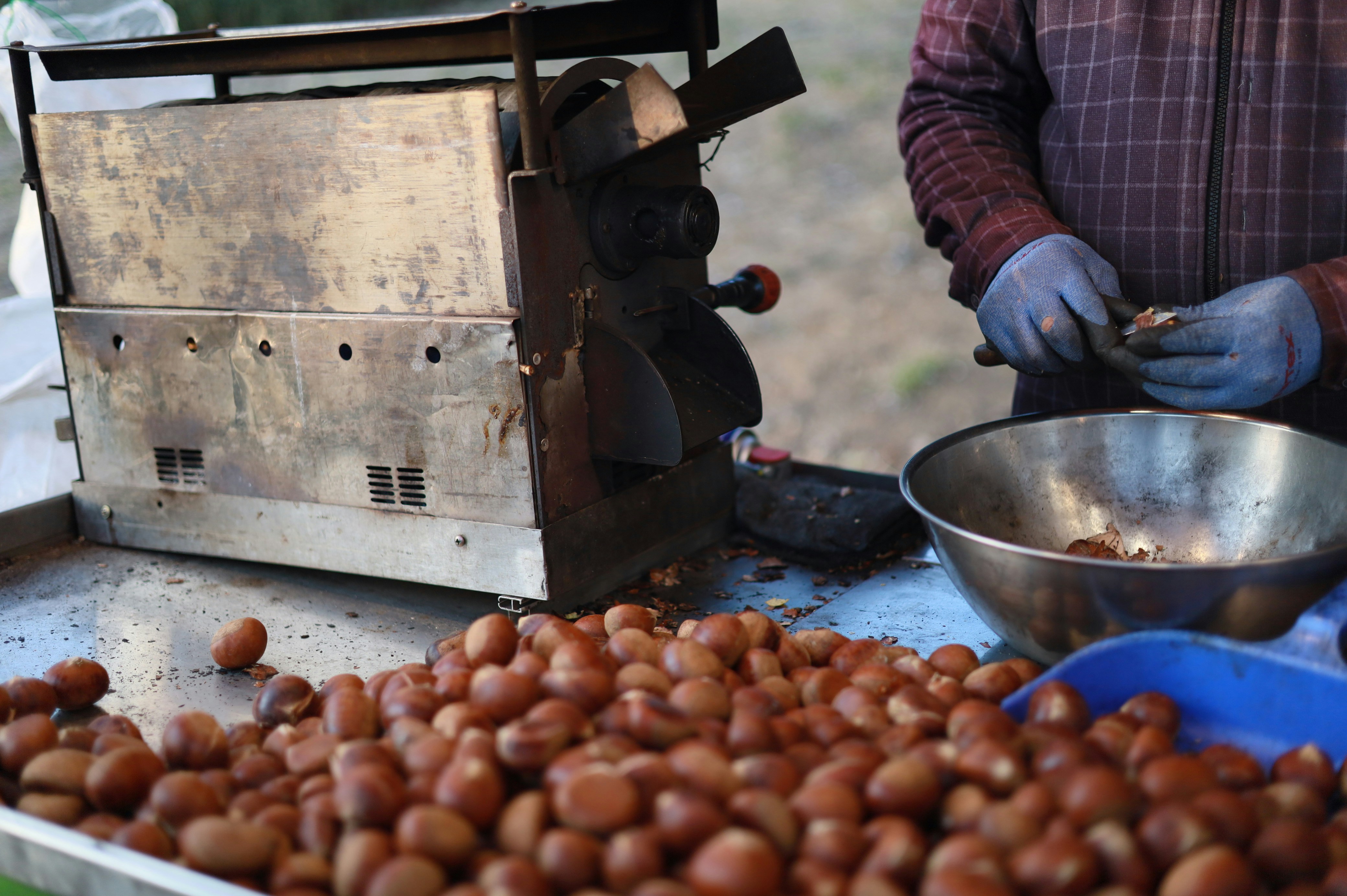 Crisped by the Grill: Fresh Chestnuts and a Manual Roaster at Work