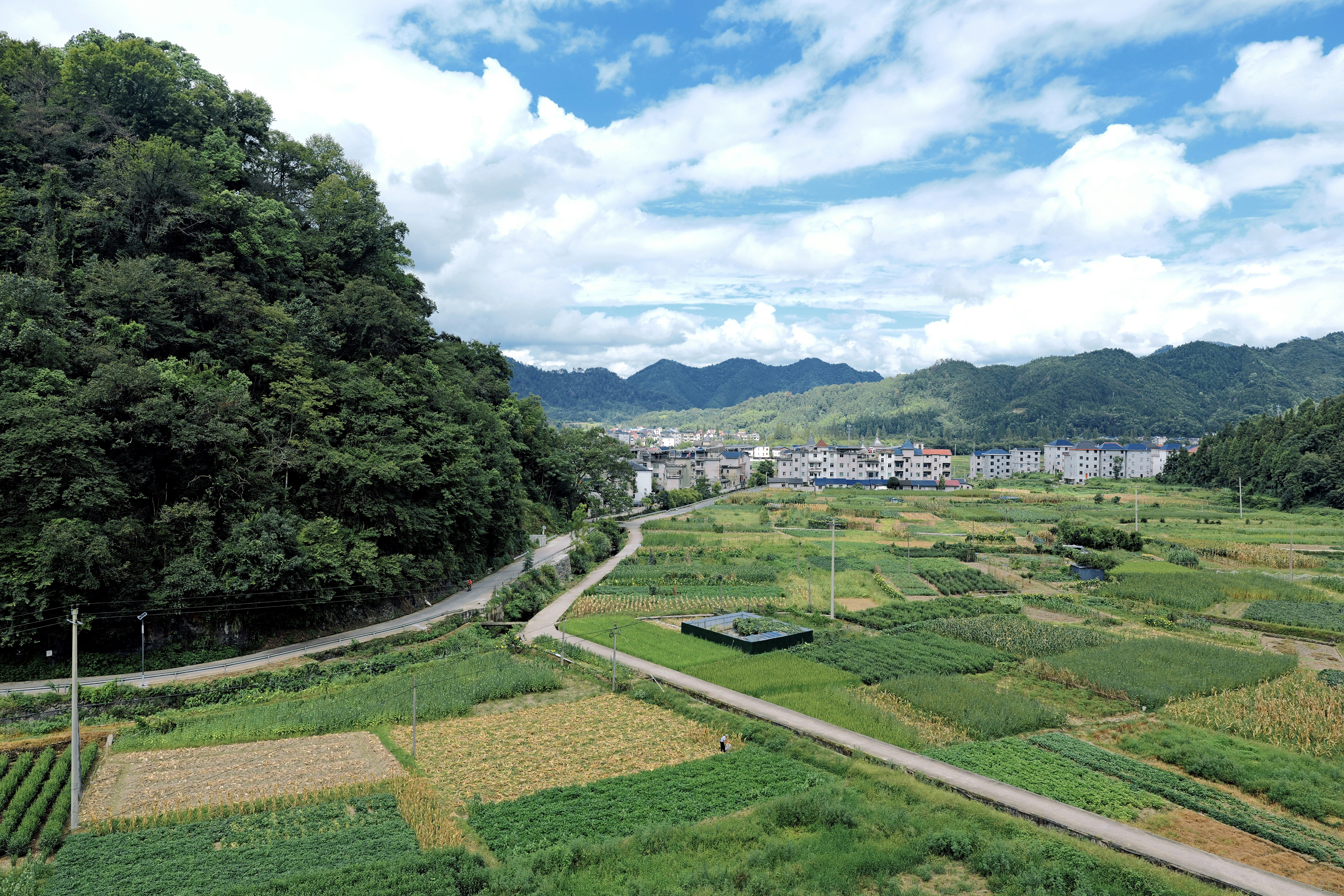 Terraced fields Leading to a Village at the Foot of Lawns and Hills