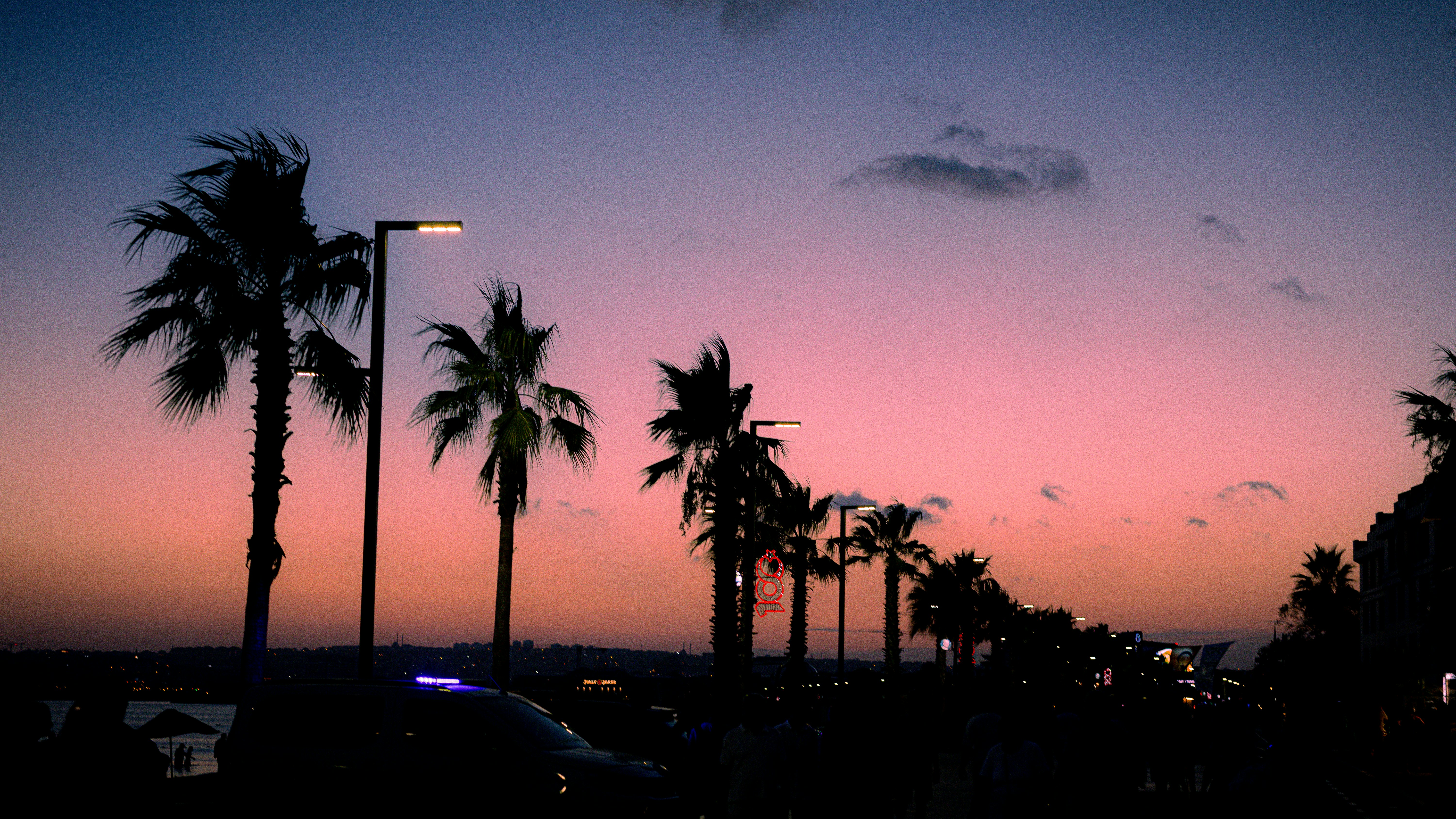 Sunset Boulevard: Silhouettes and Palm Shadows along a Dusk-lit Shoreline