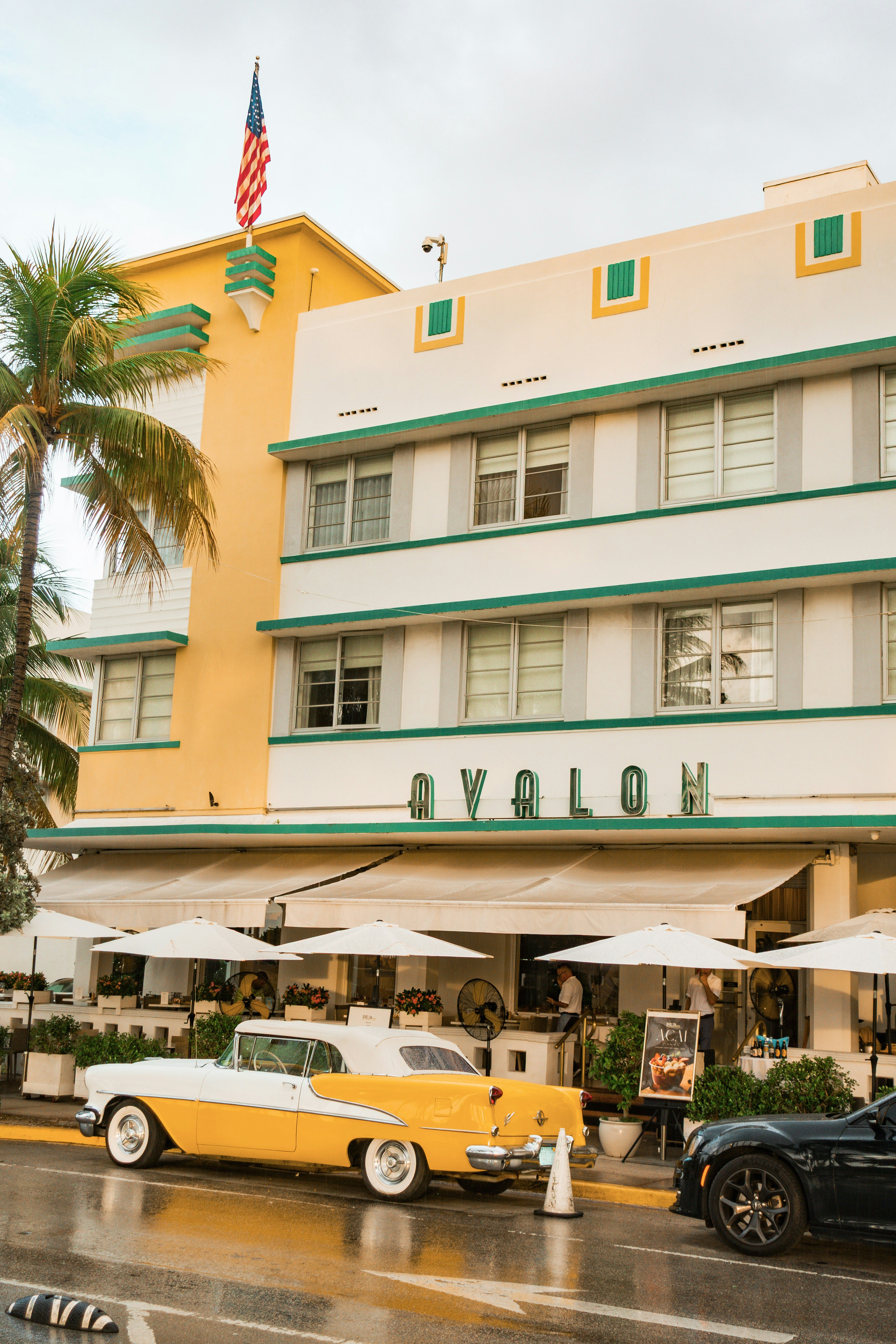 Avalon Oasis: Neon-tinged Retro on a Coral Street