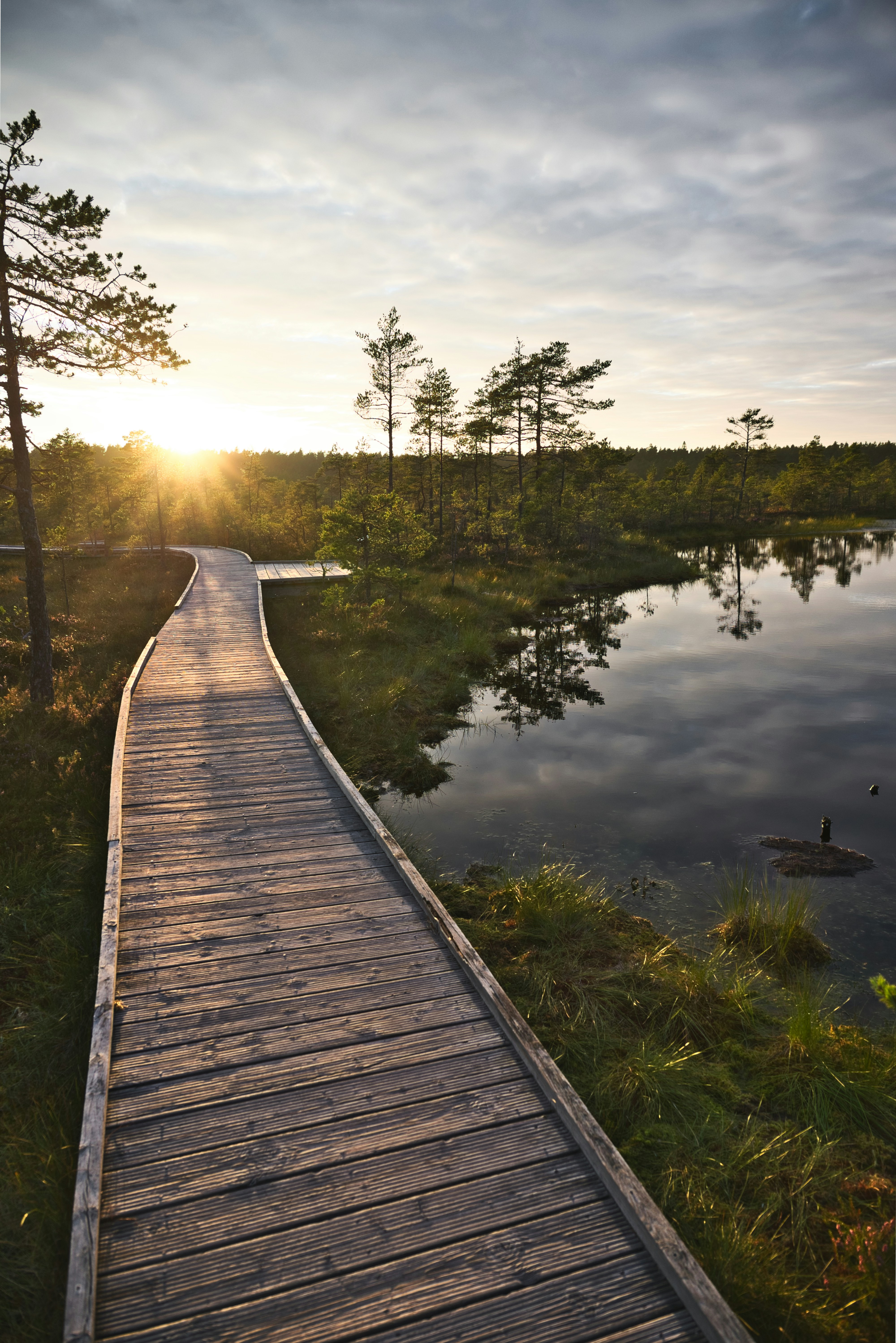 Sunlit boardwalk winding toward the distant treeline at golden hour