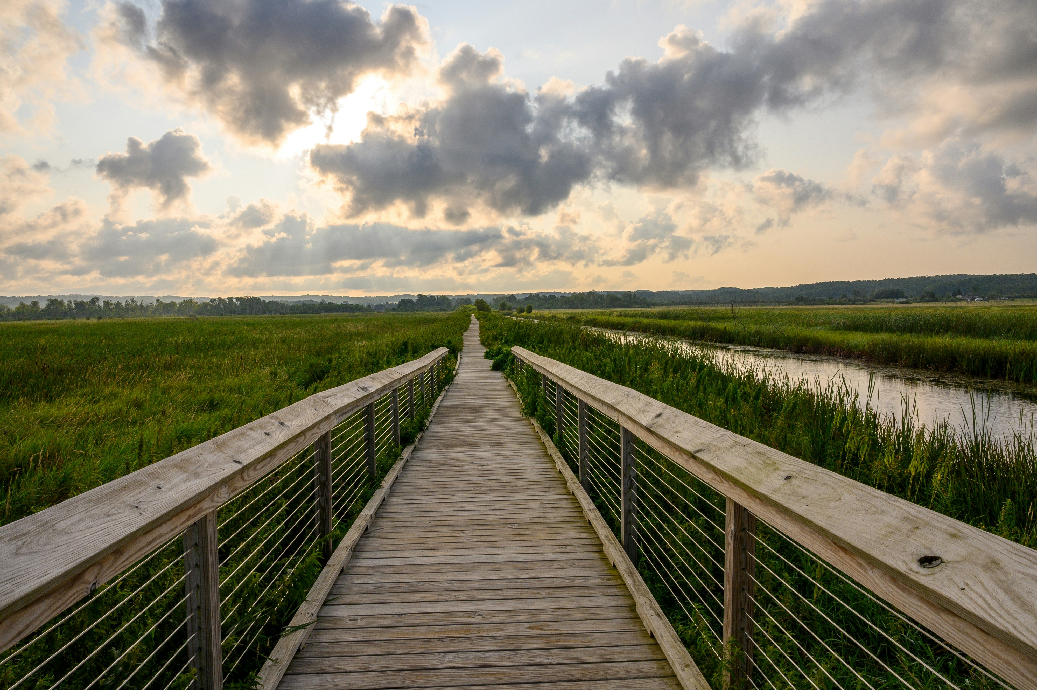 A wooden boardwalk extends into a wetland, leading toward a distant horizon under a cloudy sky; the scene emphasizes leading lines and expansive marshland.