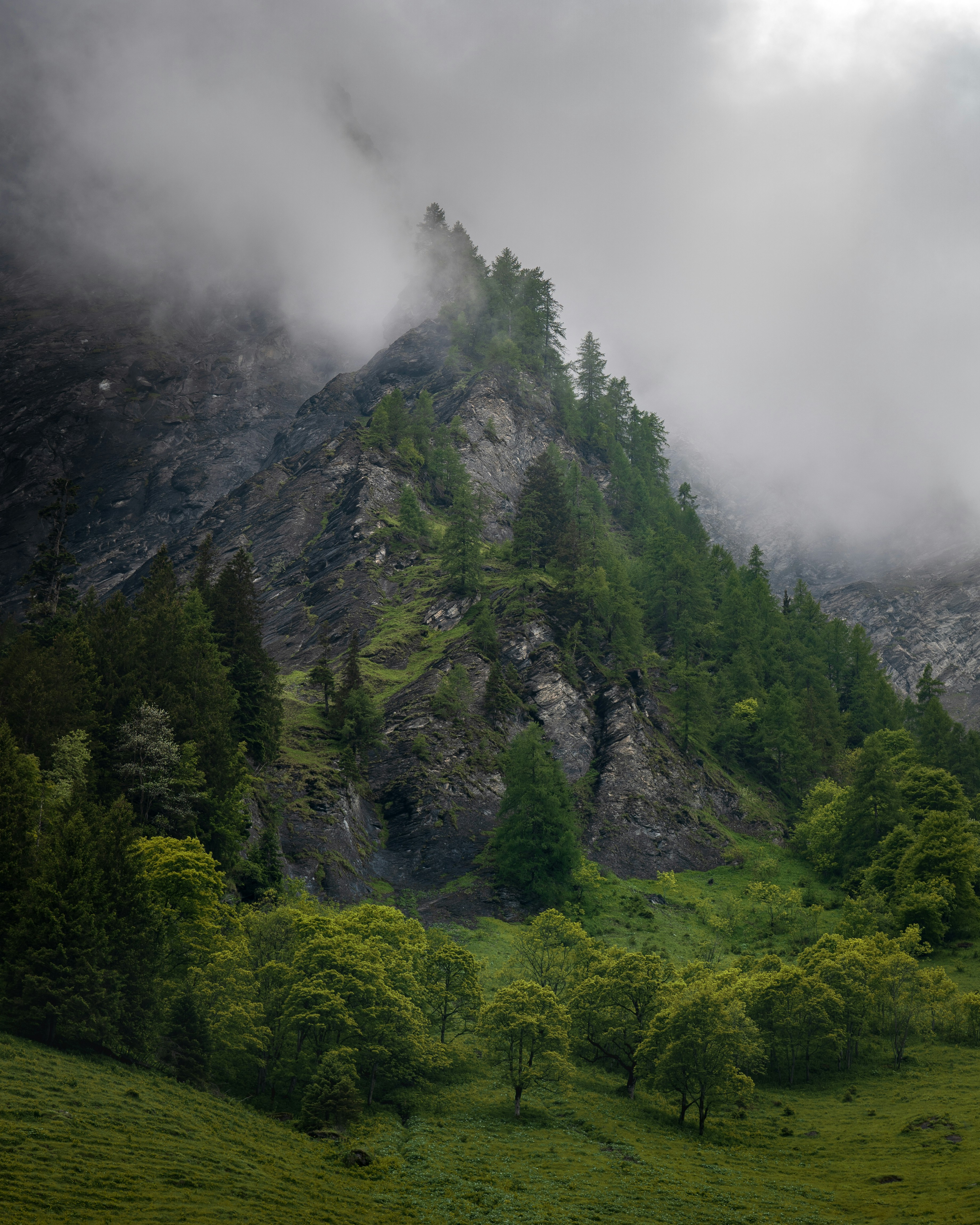 Mist-Clad Summit: A Green Ridge Rises Beneath the Clouds