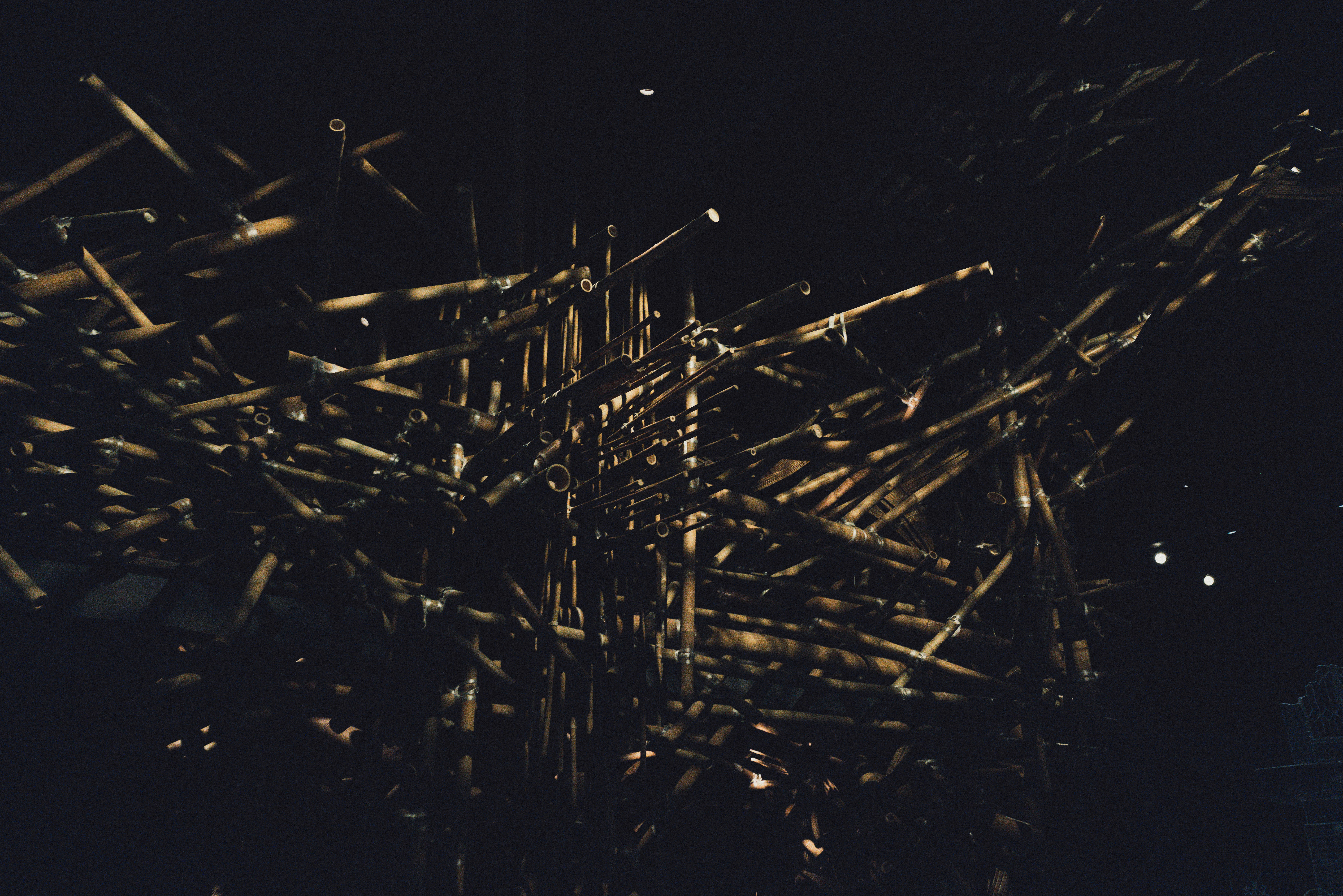 Spark of Darkness: A Web of Thin Rods in Night