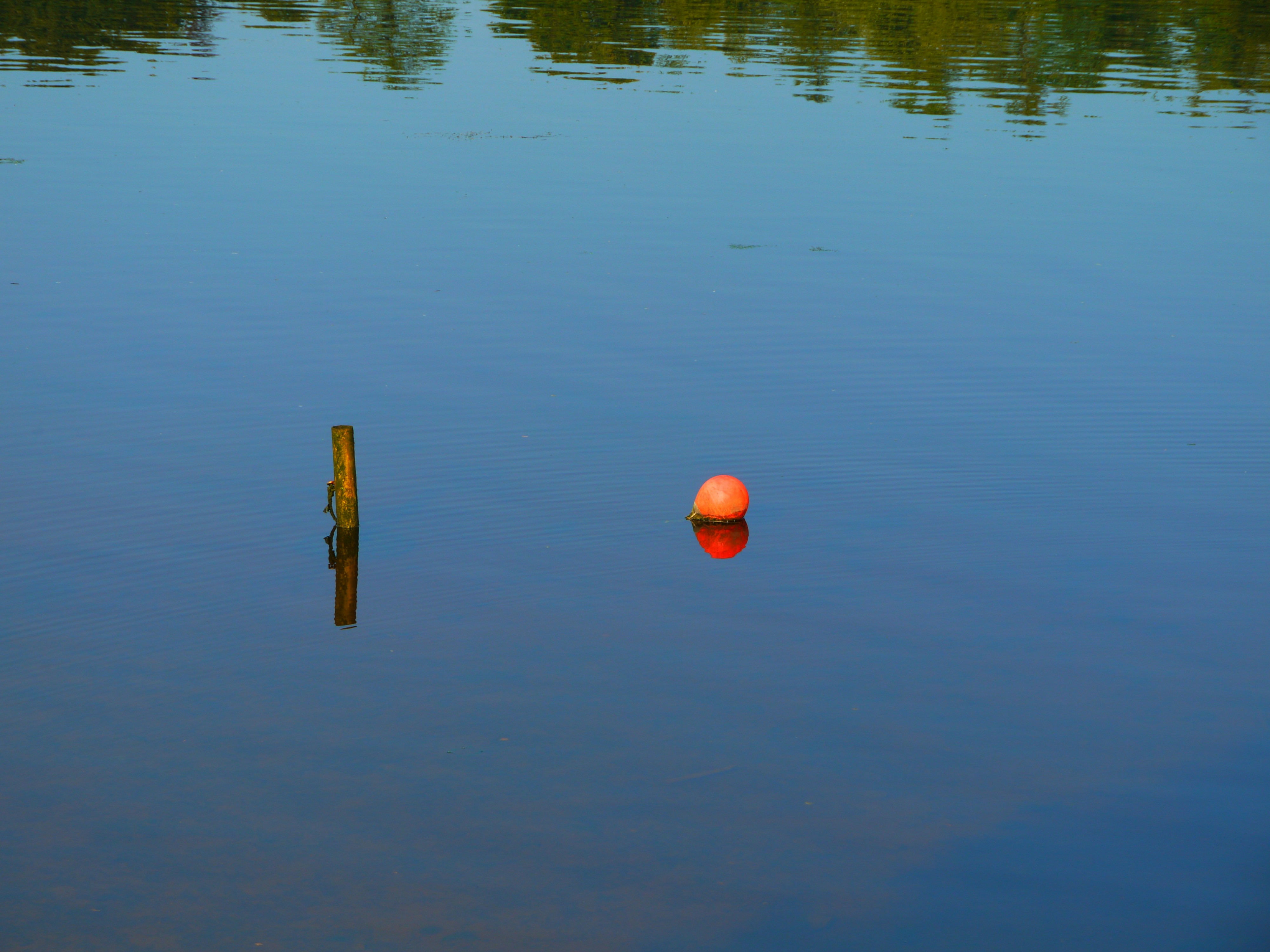 Red Buoy on a Mirror-Like Lake