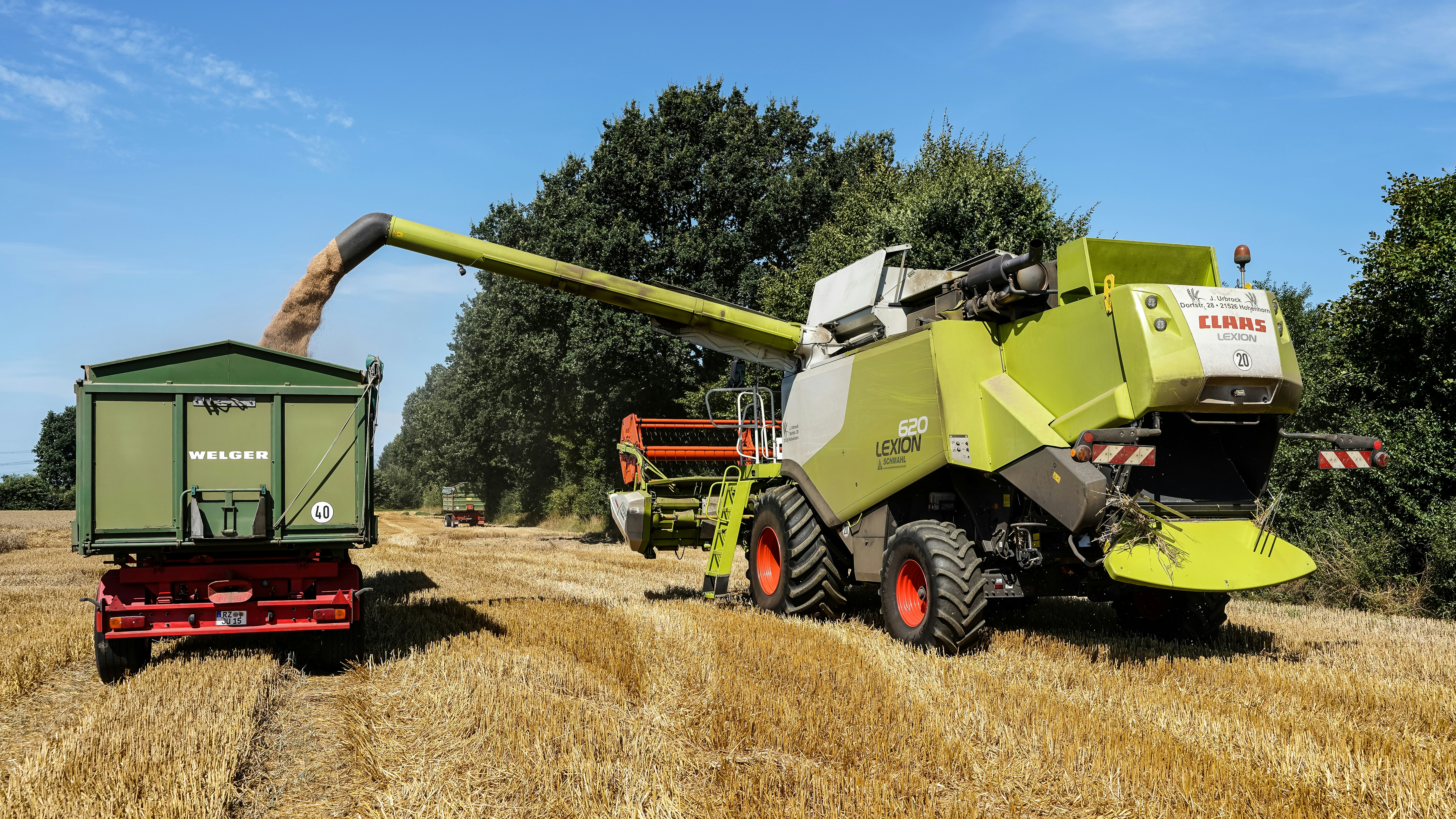 Harvest Run: The Green Harvester Halts at the Edge of a Golden Field