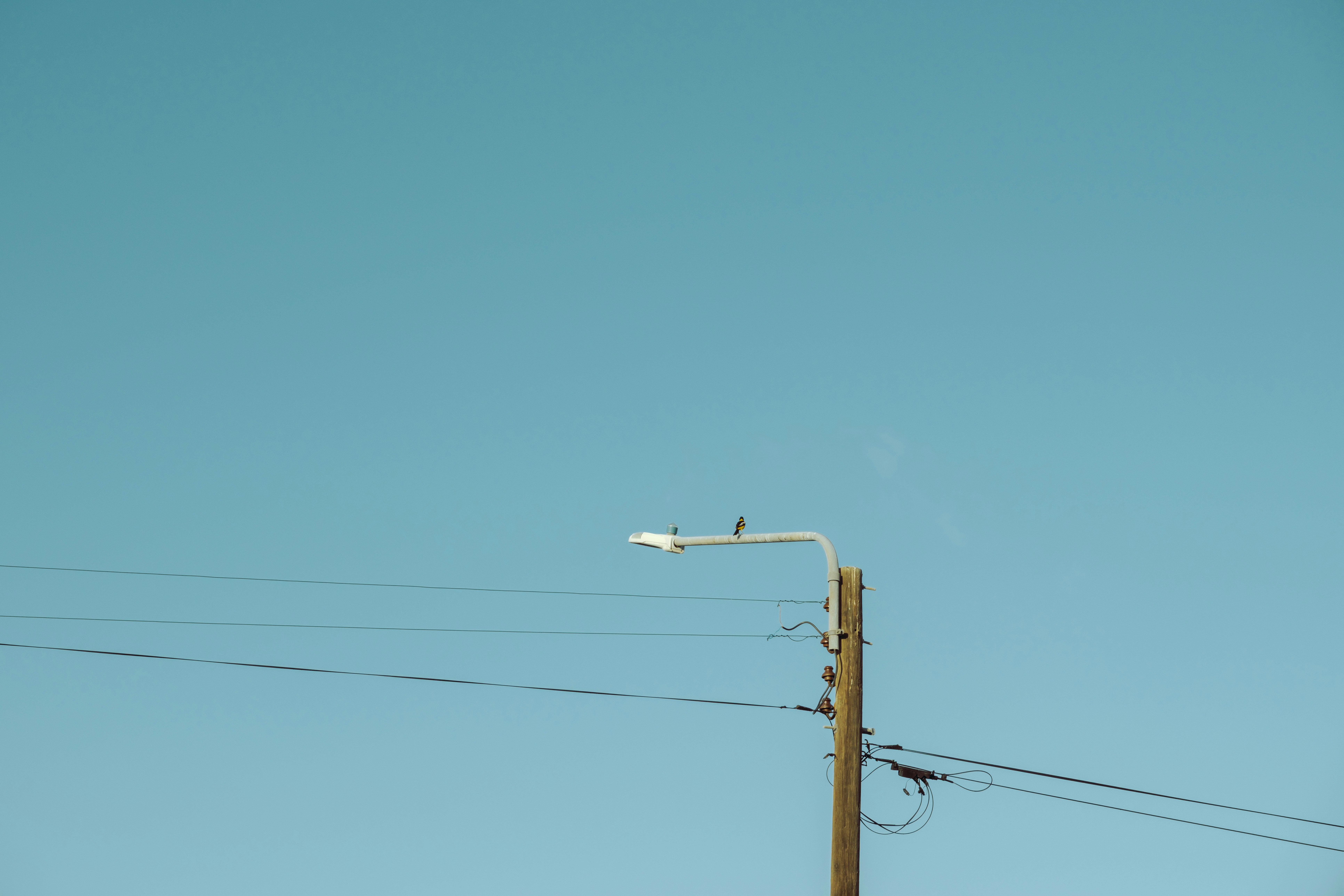 Single streetlight atop a weathered utility pole against a clear blue sky