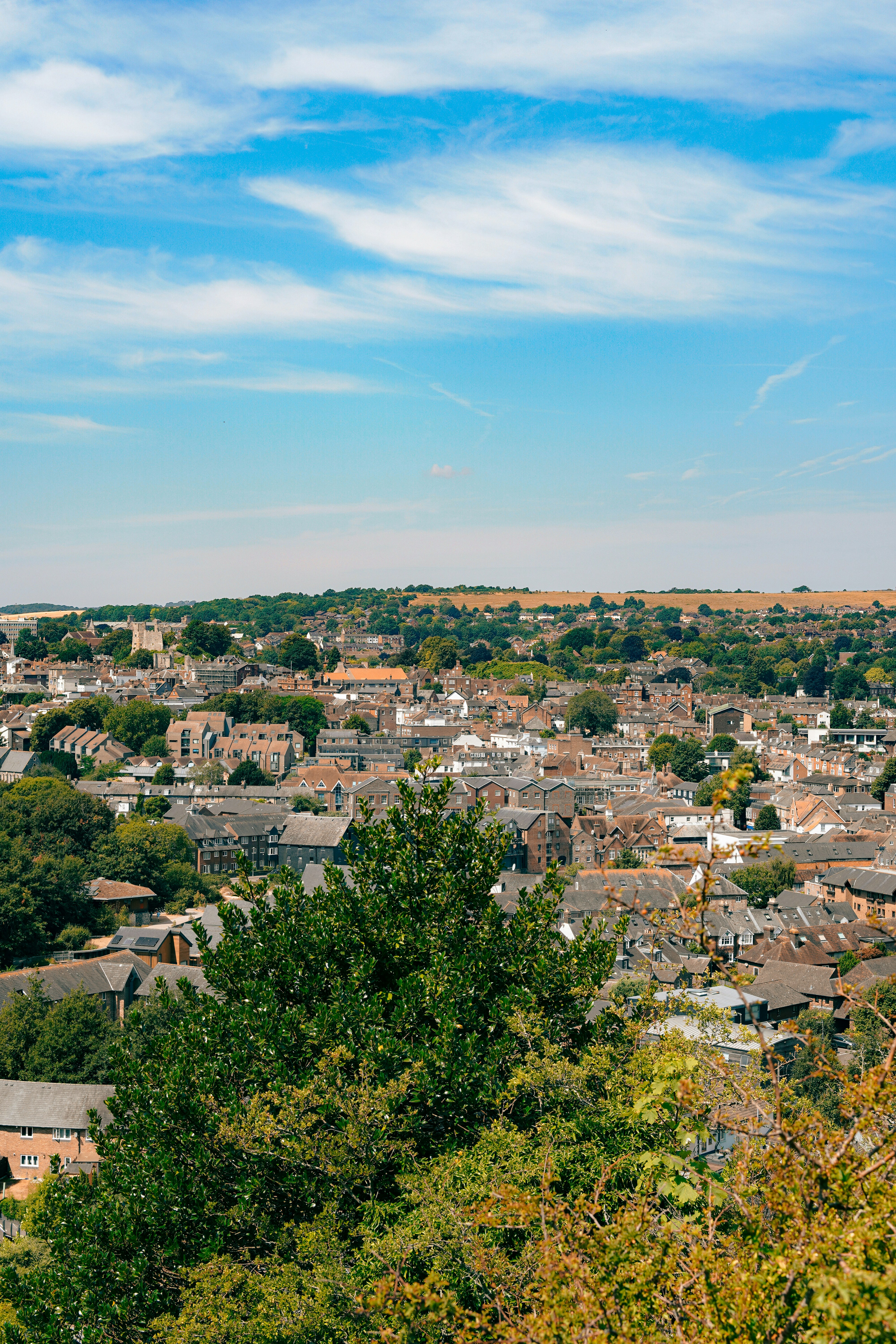 Vast townscape with a dense mosaic of rooftops beneath a bright blue sky, framed by green trees in the foreground; a landscape photograph capturing an elevated view of a suburban valley. (Non-artificial logo-free photograph)