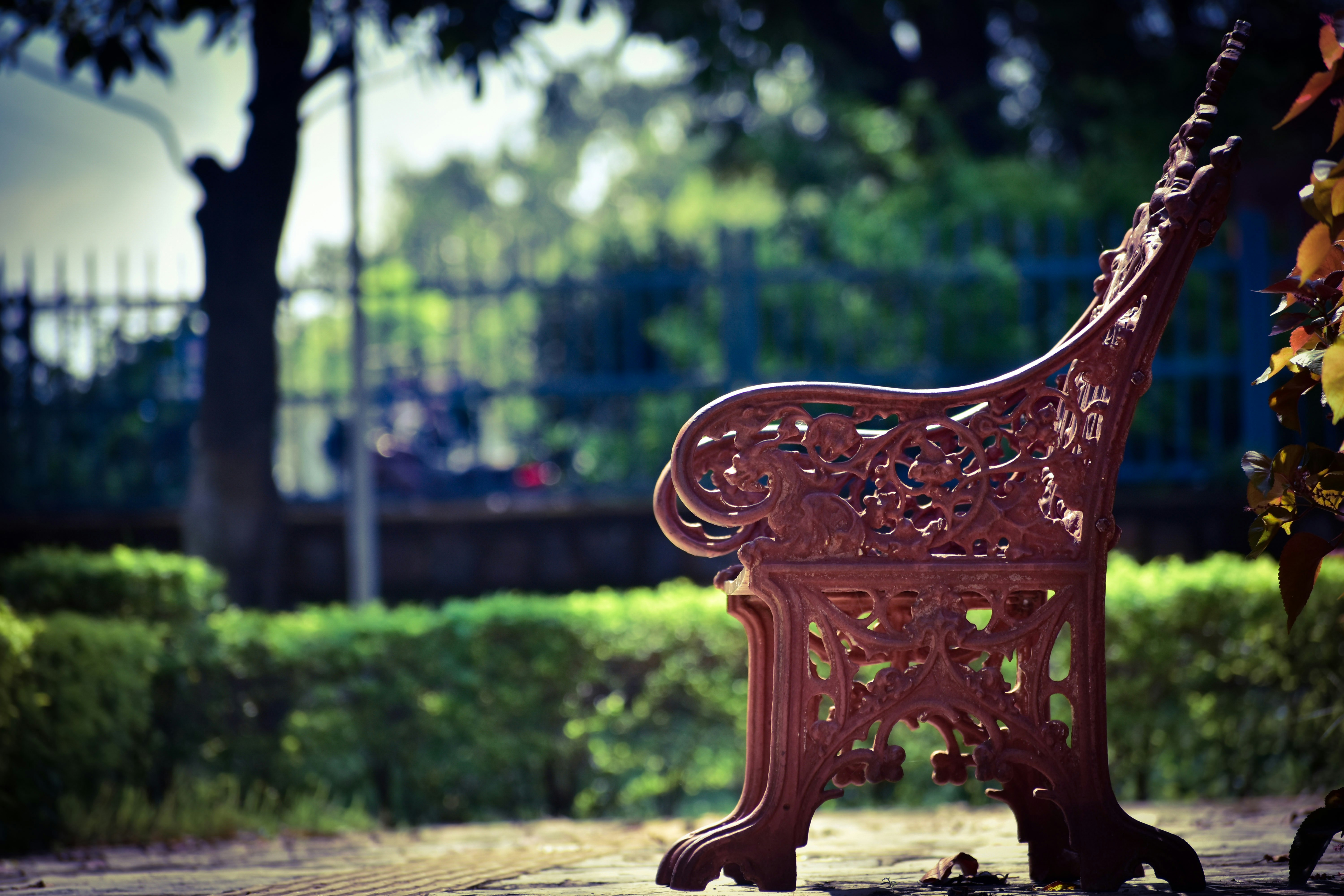 Ornate Bench in a Quiet Garden Glow